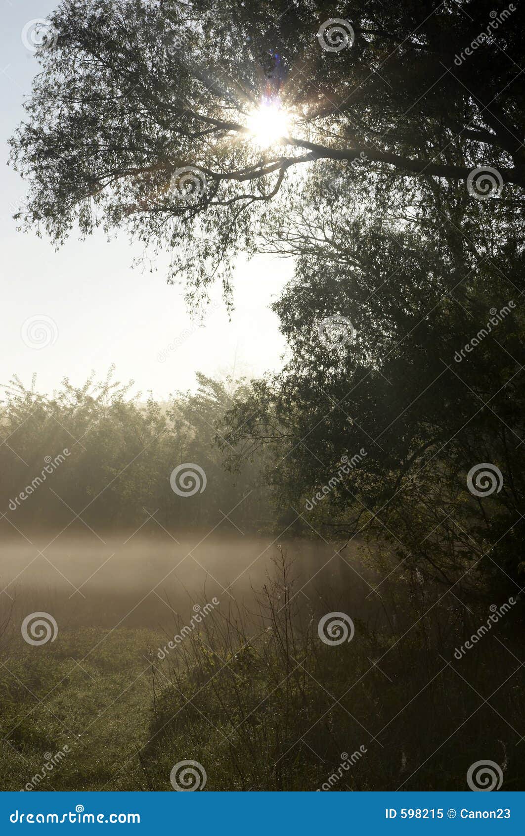 Hazy morning stock image. Image of sparkle, glitter, waking - 598215