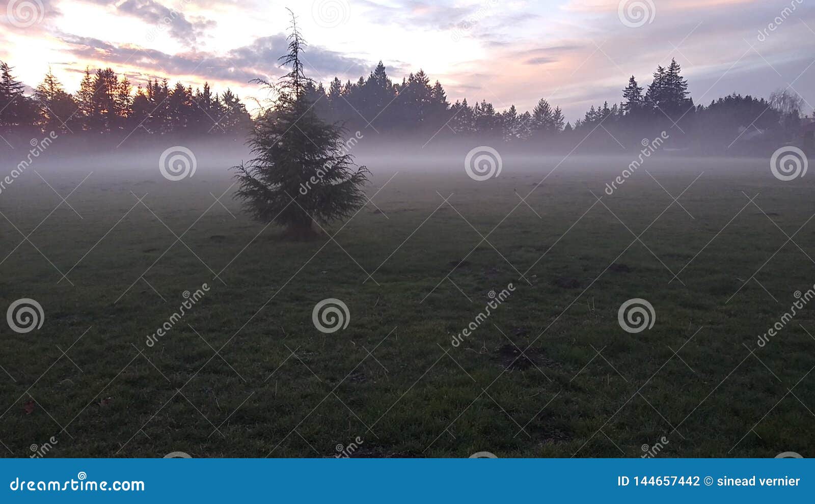 Hazy sunset stock photo. Image of nature, outside, sunset - 144657442