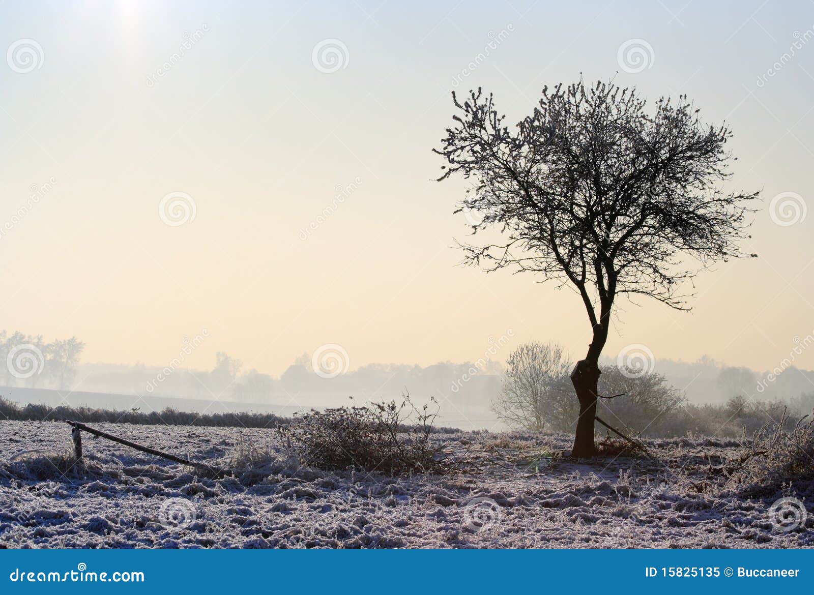 Hazy winter landscape stock image. Image of haze, hazy - 15825135