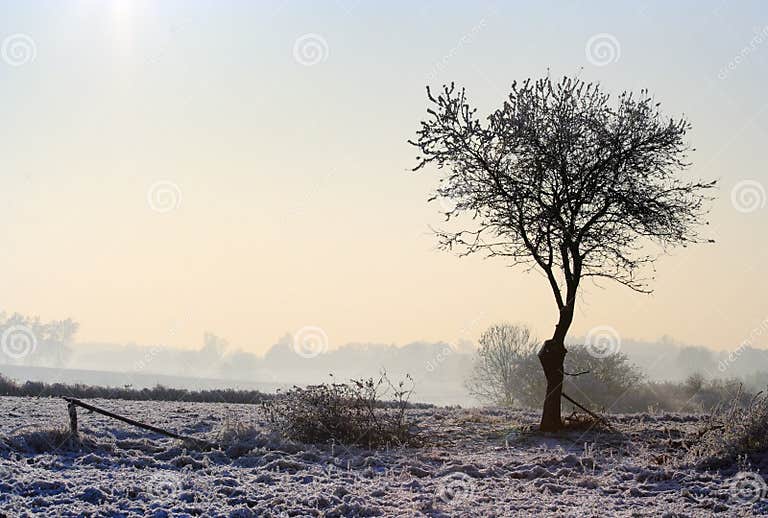 Hazy winter landscape stock image. Image of haze, hazy - 15825135
