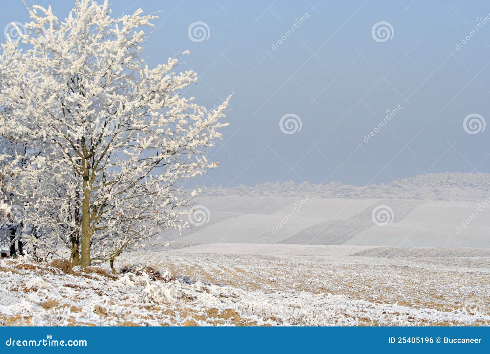 Hazy winter landscape stock photo. Image of field, hazy - 25405196