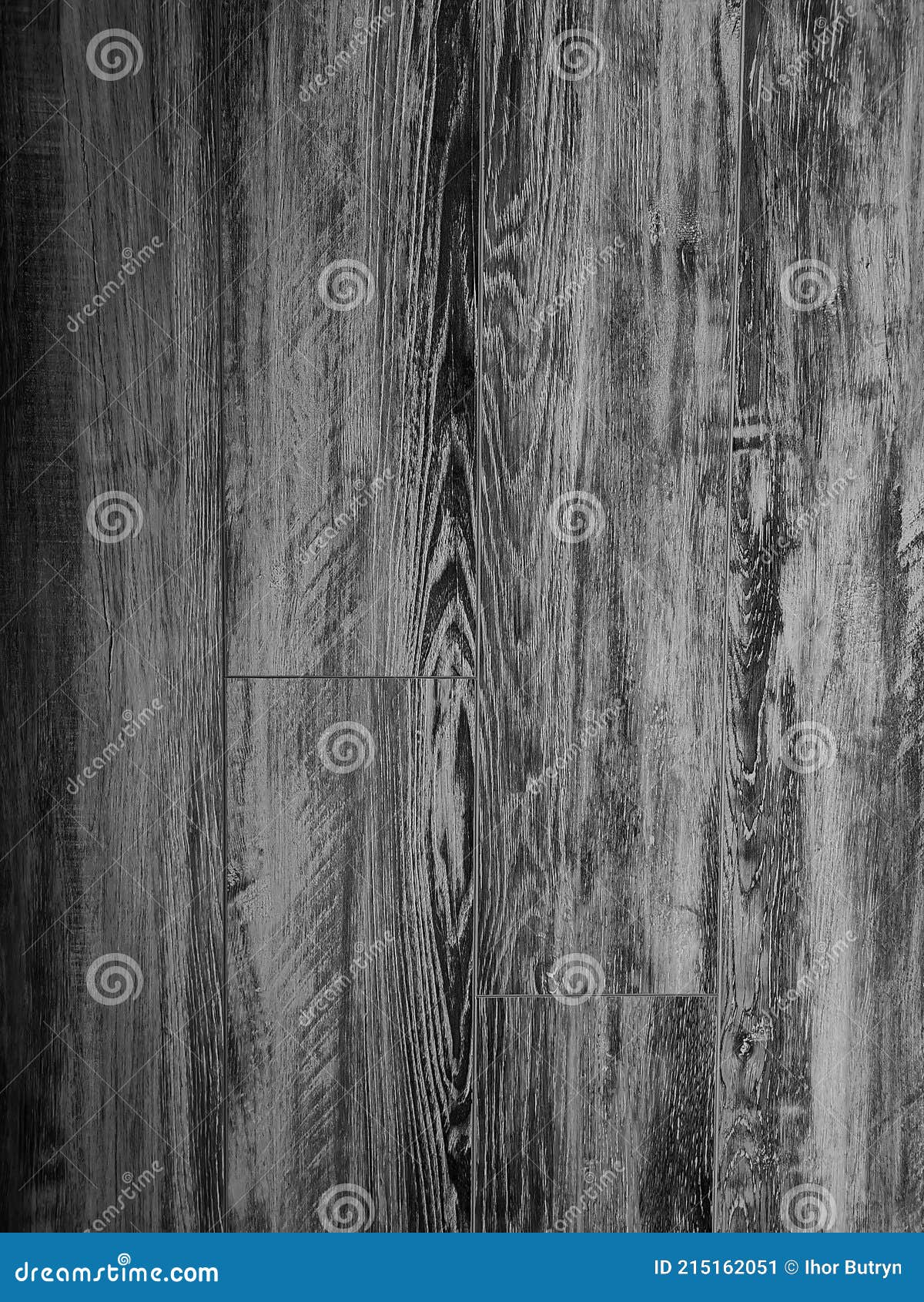 Background with a Structure of a Tree in Dark Gray Color Stock Image ...