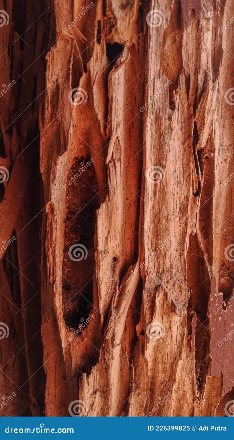 Hd broken wood texture stock image. Image of leaf, geology - 226399825