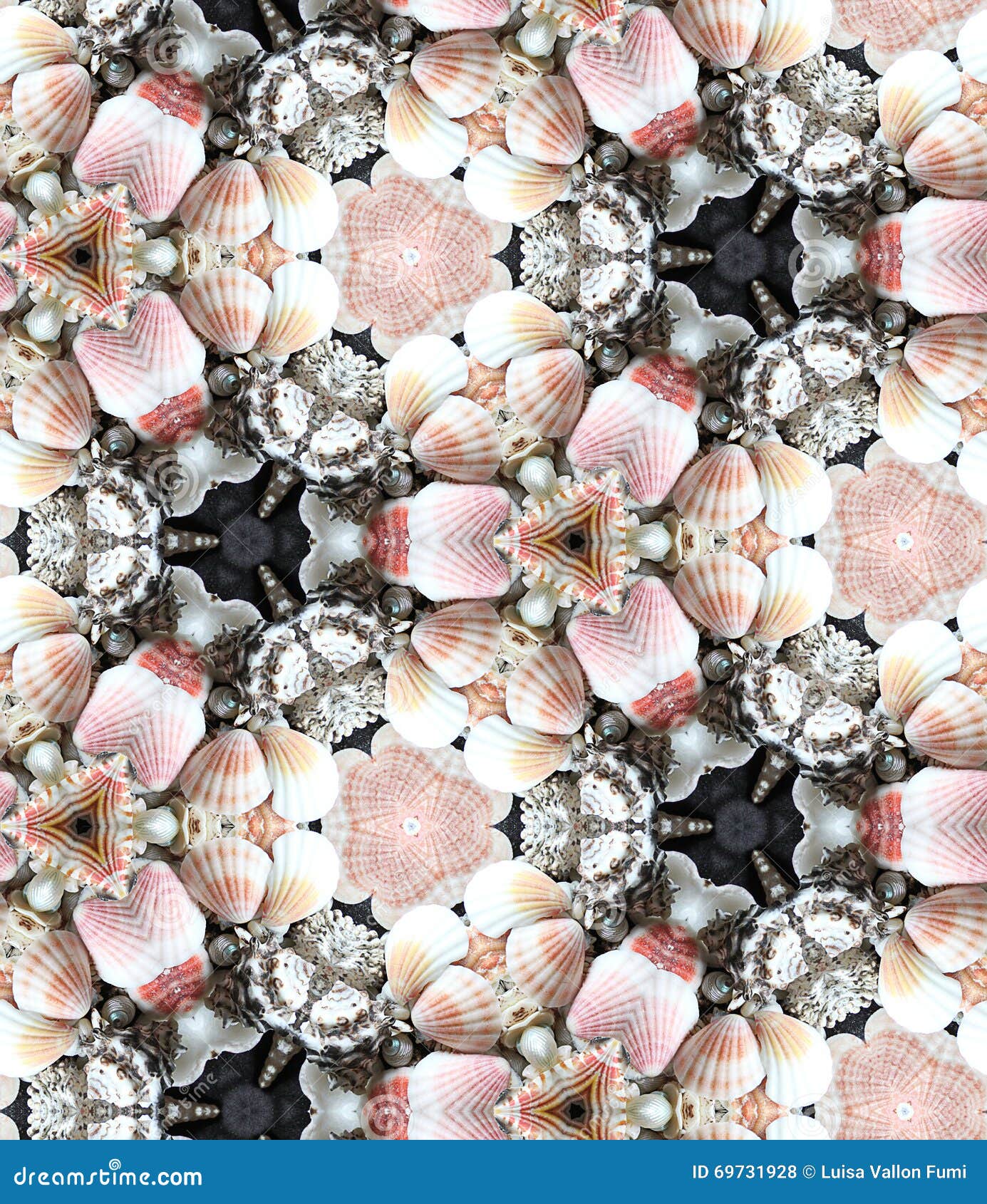 HD Seamless Kaleidoscope Pattern of Shells Stock Photo - Image of ...