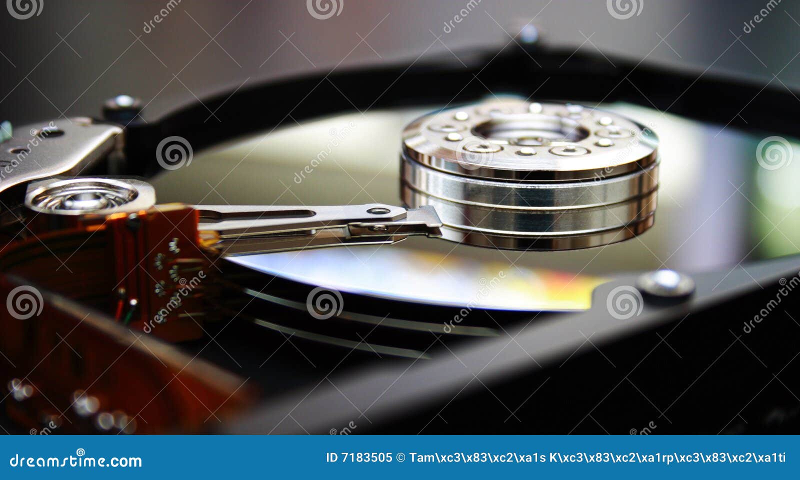 389 Disk Winchester Stock Photos - Free & Royalty-Free Stock Photos ...