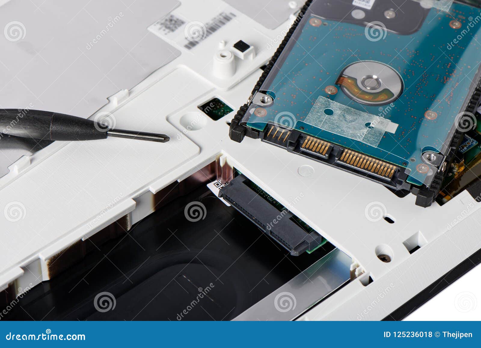 HDD with Bracket and SATA Slot Stock Photo - Image of bottom, hardware ...