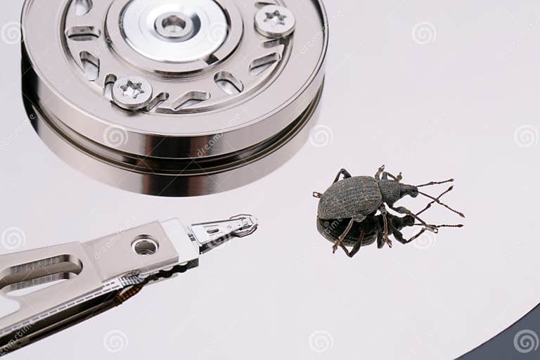 HDD bug stock photo. Image of inside, actuator, fixed - 173725374