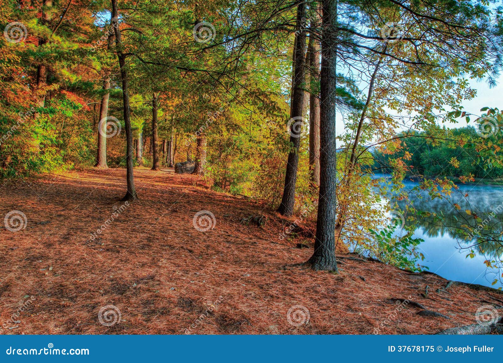 An HDR Landscape of a Forest and Pond. Stock Image - Image of landscape ...