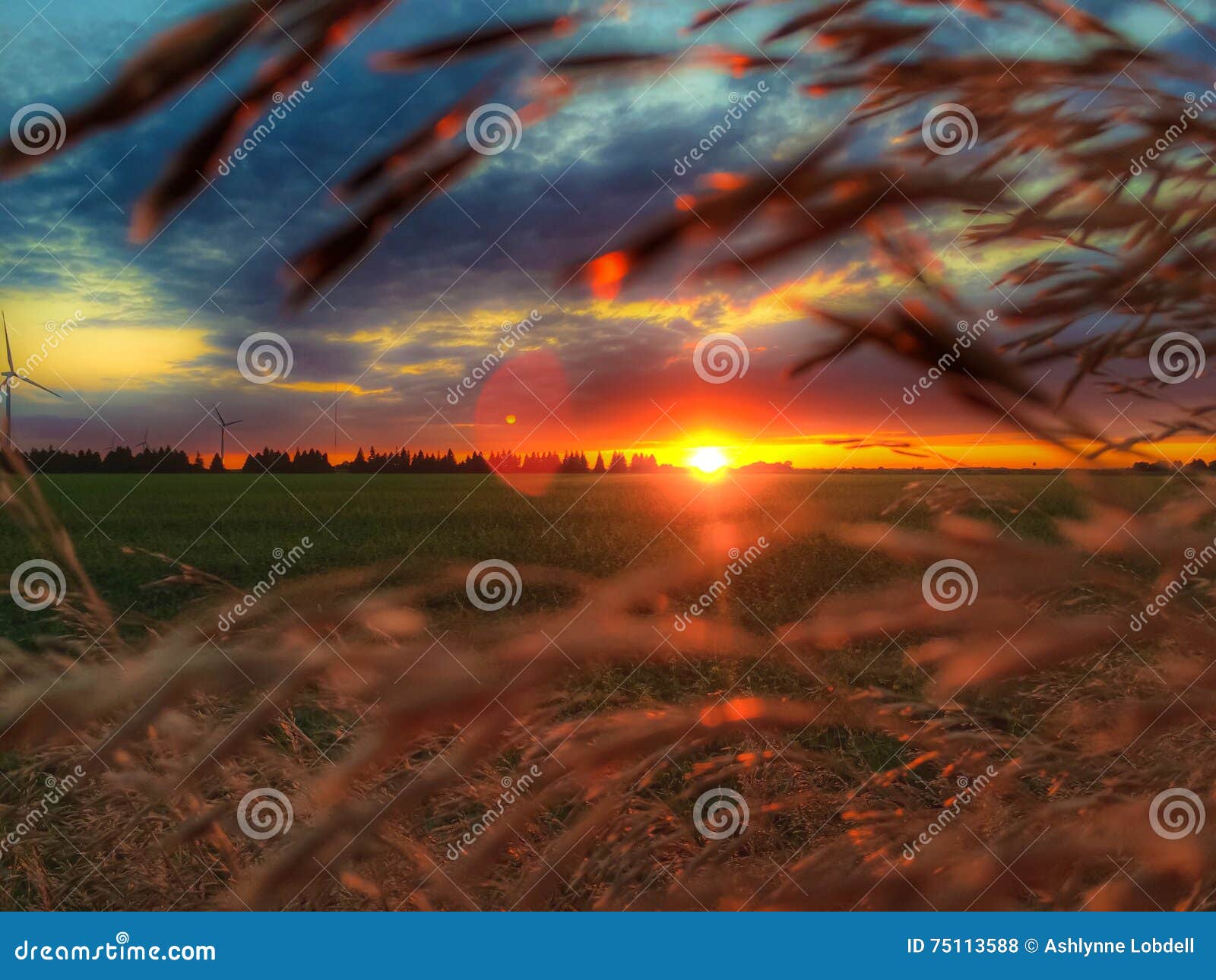 HDR scape stock photo. Image of yellow, beam, scape, weather - 75113588