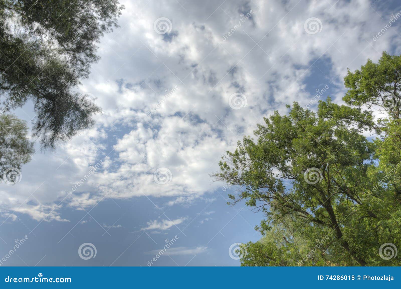 HDR Sky with Tree Leafs on the Sides Stock Photo - Image of autumn ...