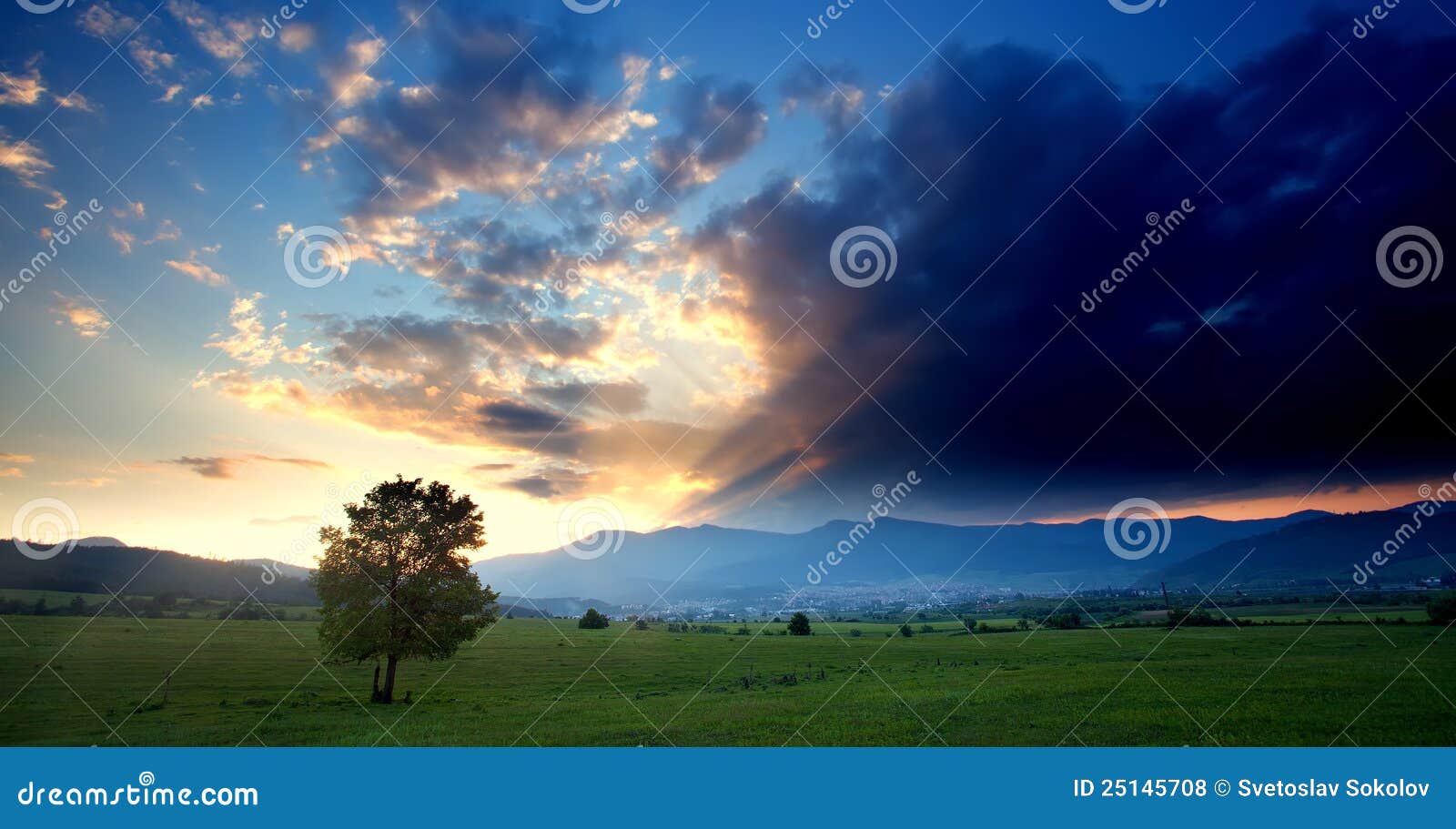 Hdr tree and sky stock photo. Image of tree, rural, countryside - 25145708