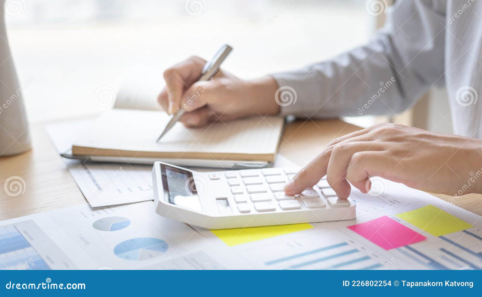 Head of Accounting is Recording the Company`s Financial Growth ...