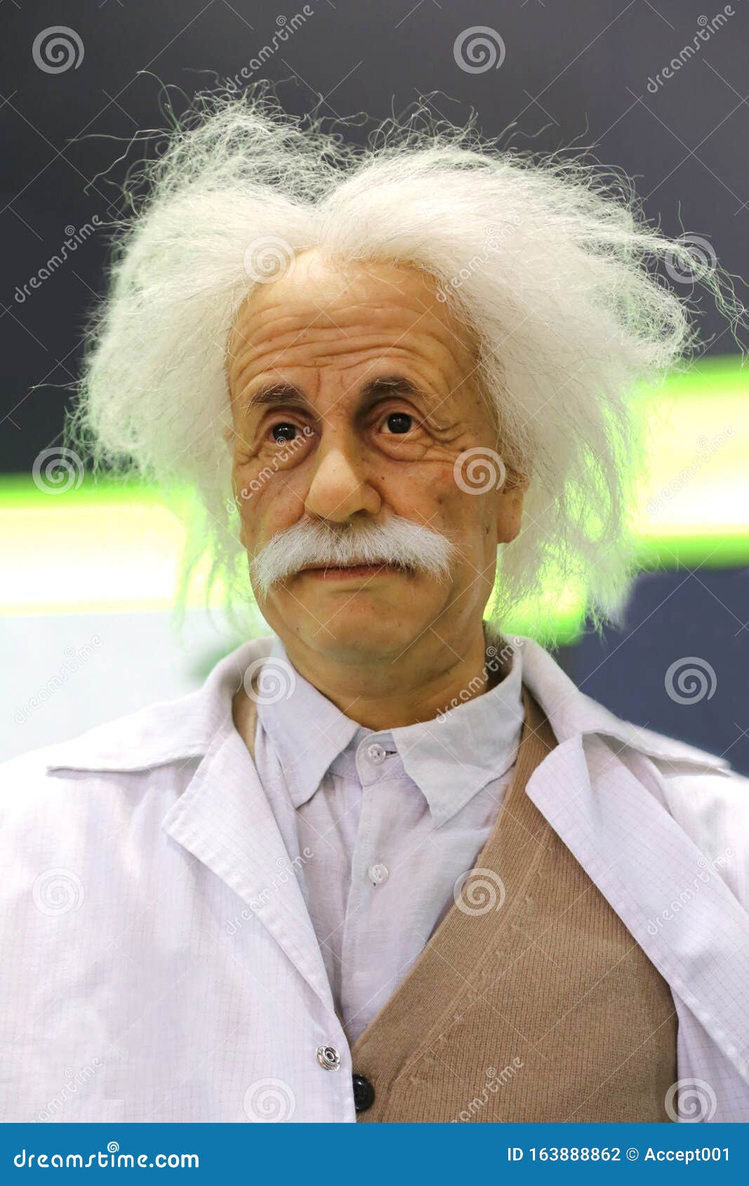 Head of Albert Einstein on a Science Exhibition Editorial Photography ...