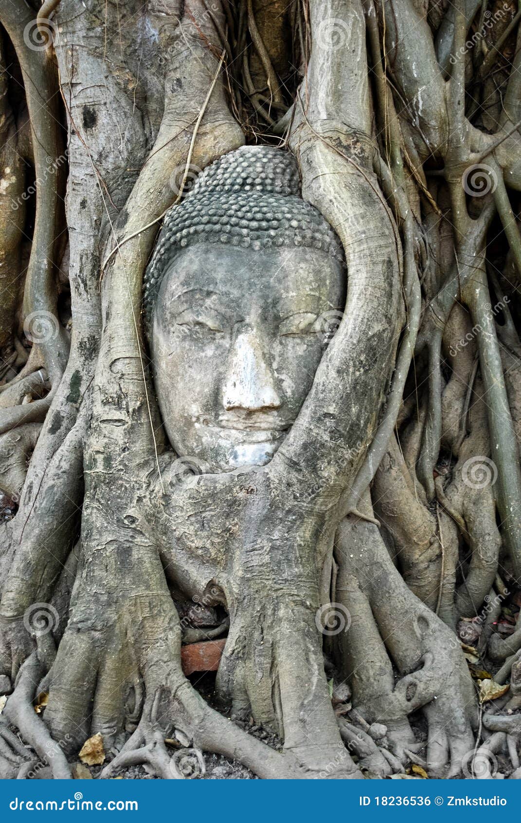 Ancient Buddha Statue In Tree Roots At Mahatat Temple Royalty-Free ...