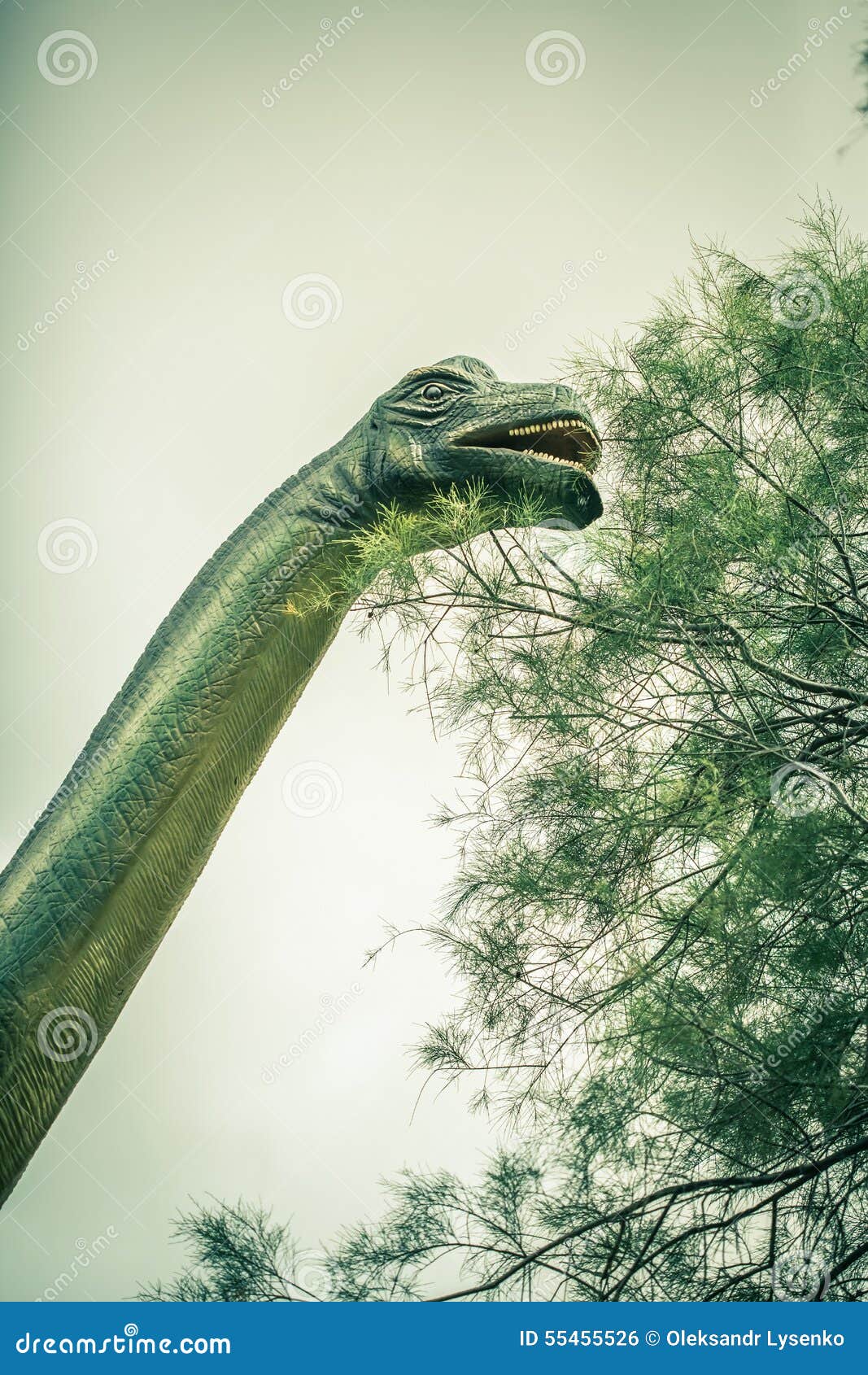 Ancient Dinosaur Footprint On The An Corran Beach, Near Skye, Royalty ...