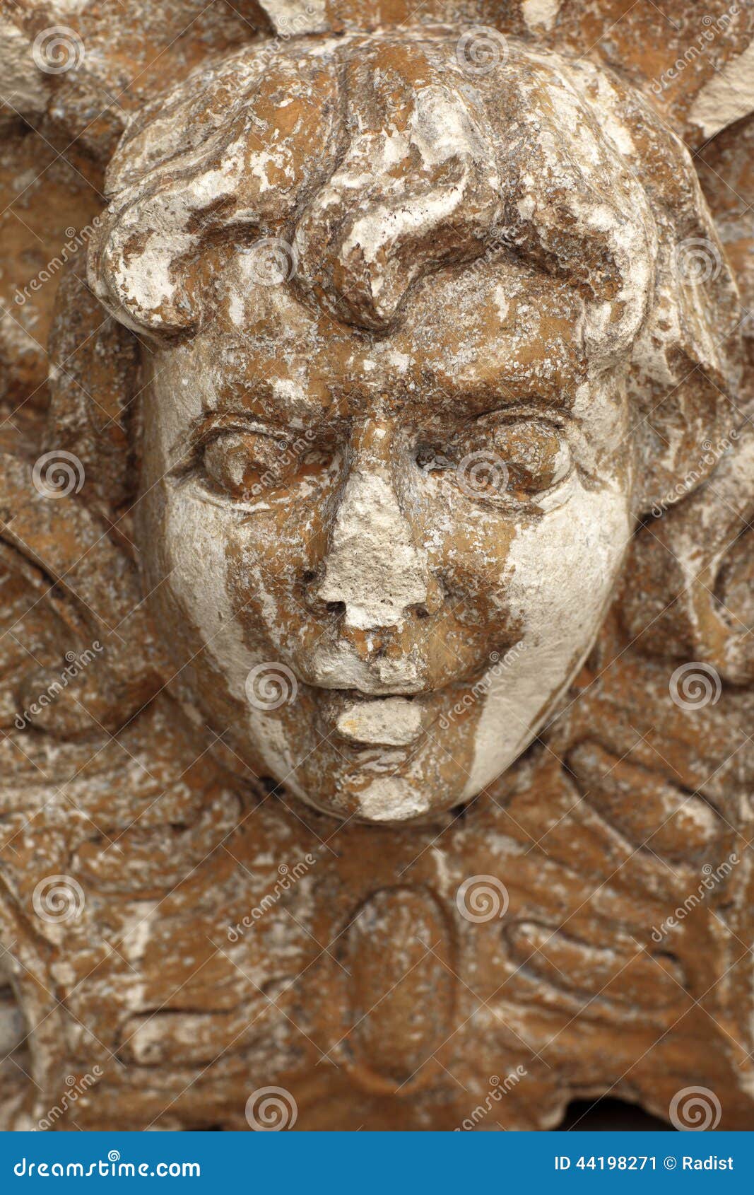 Head of angel stock image. Image of innocence, angel - 44198271