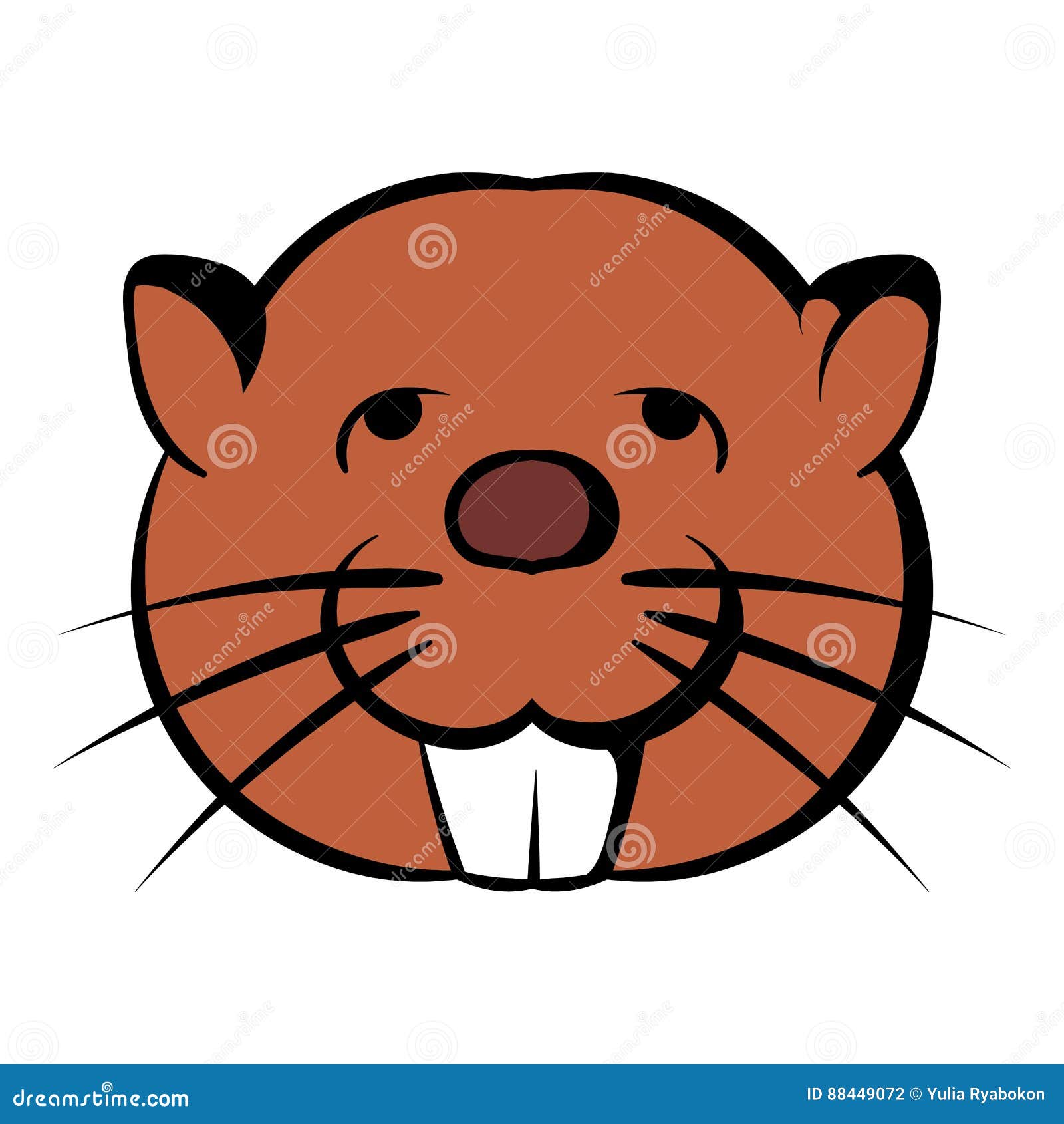 Cartoon Muskrat Face, Vector Illustration , Lining Draw | CartoonDealer ...