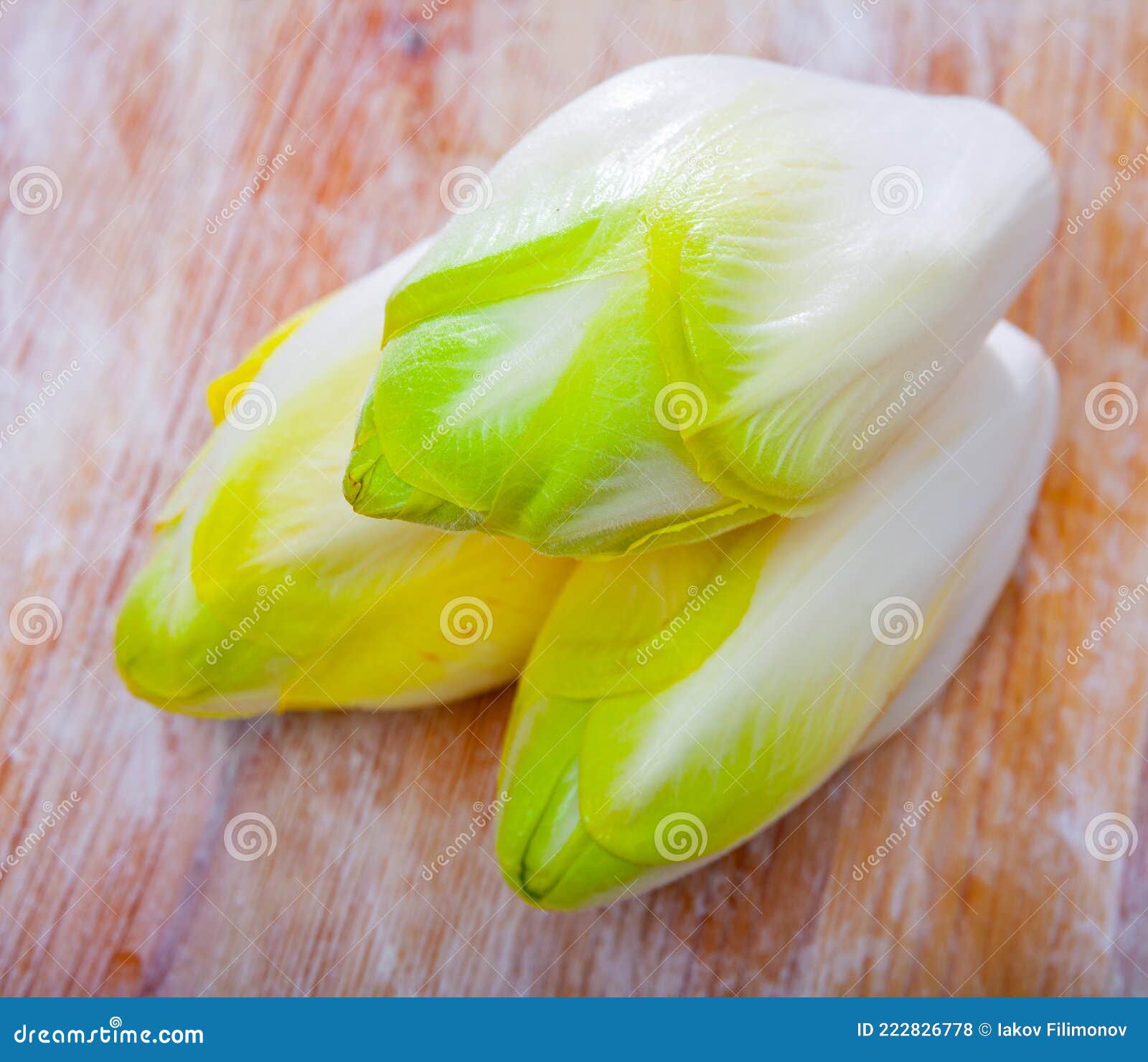 Head of Belgian Endive Chicory on Wooden Table Stock Photo - Image of ...