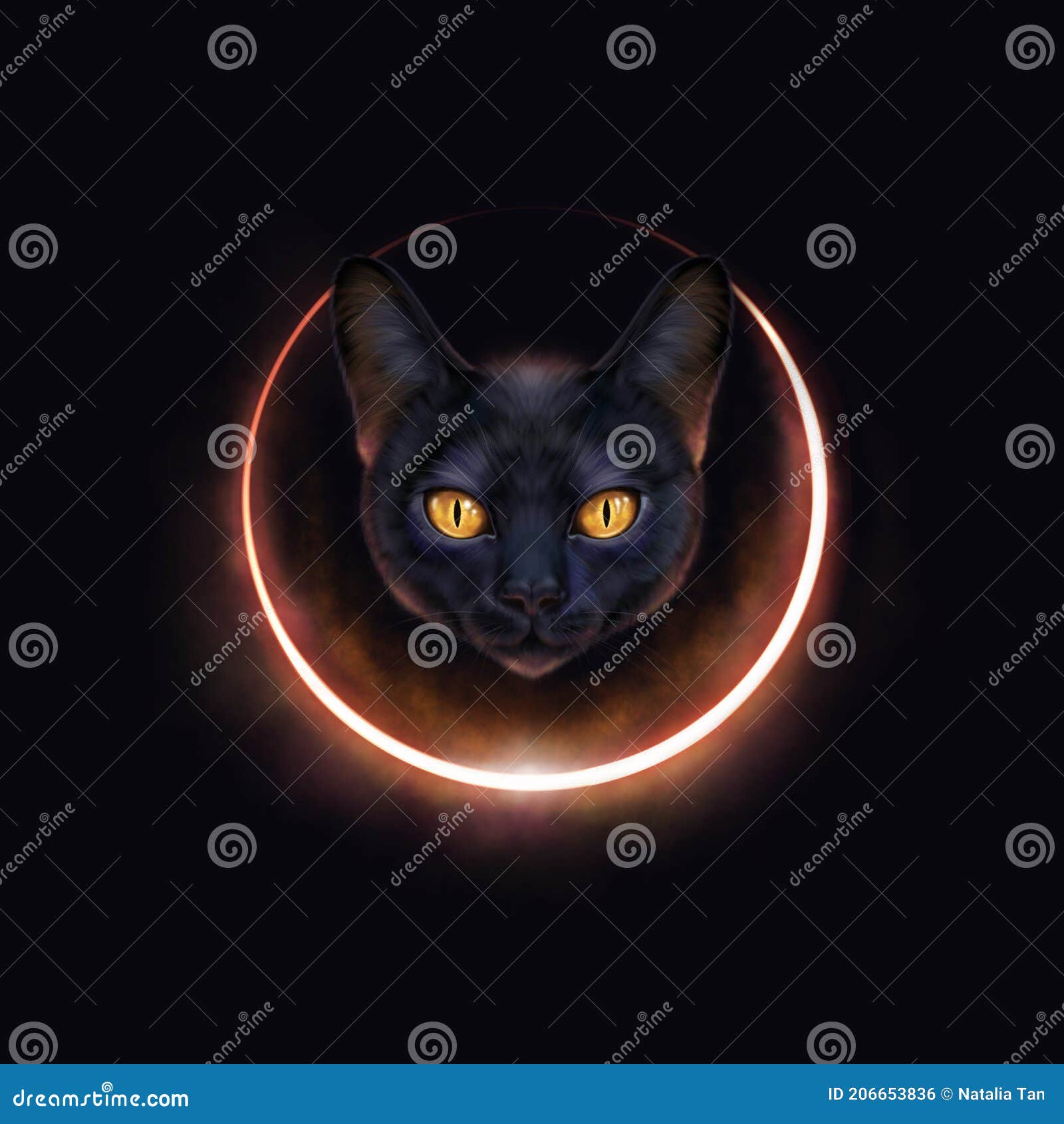 Head Of Black Cat Surrounded By The Eclipse Of Sun. Digital Painting ...