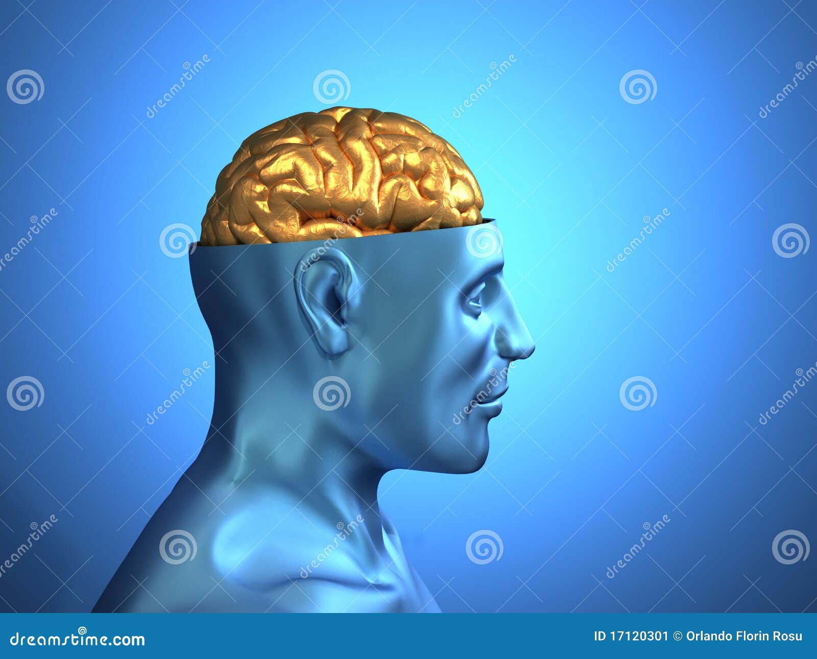 Head with brain stock illustration. Illustration of medical - 17120301