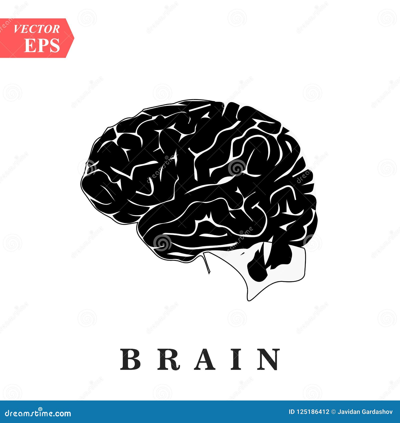 Head with Brain Vector Icon EPS10. Simple Isolated Silhouette Symbol ...