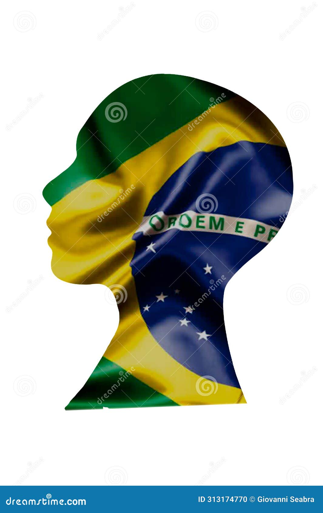 Head with Brazilian Flag Printed Patriotic Thought Stock Illustration ...