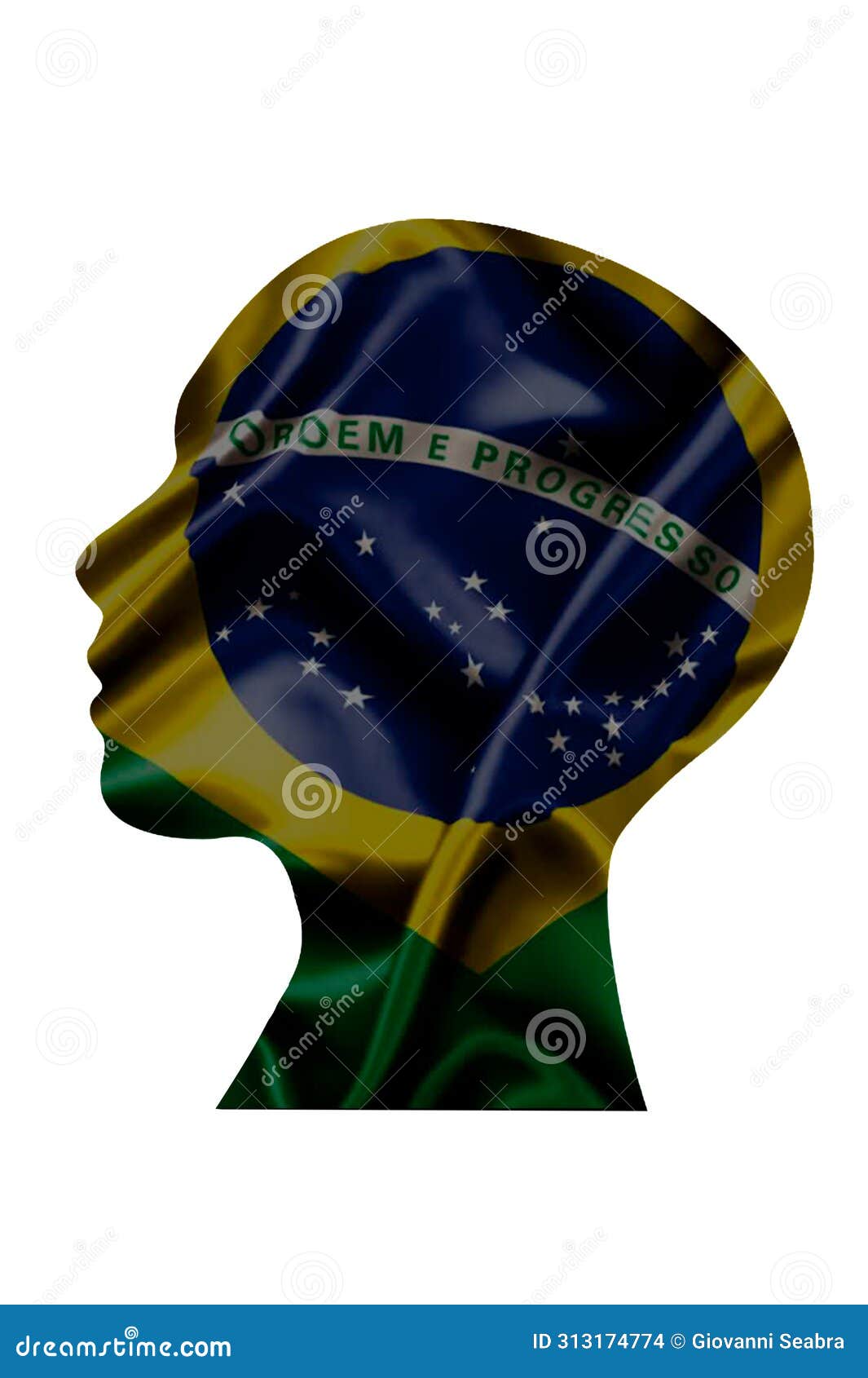 Head with Brazilian Flag Printed Patriotic Thought Stock Illustration ...