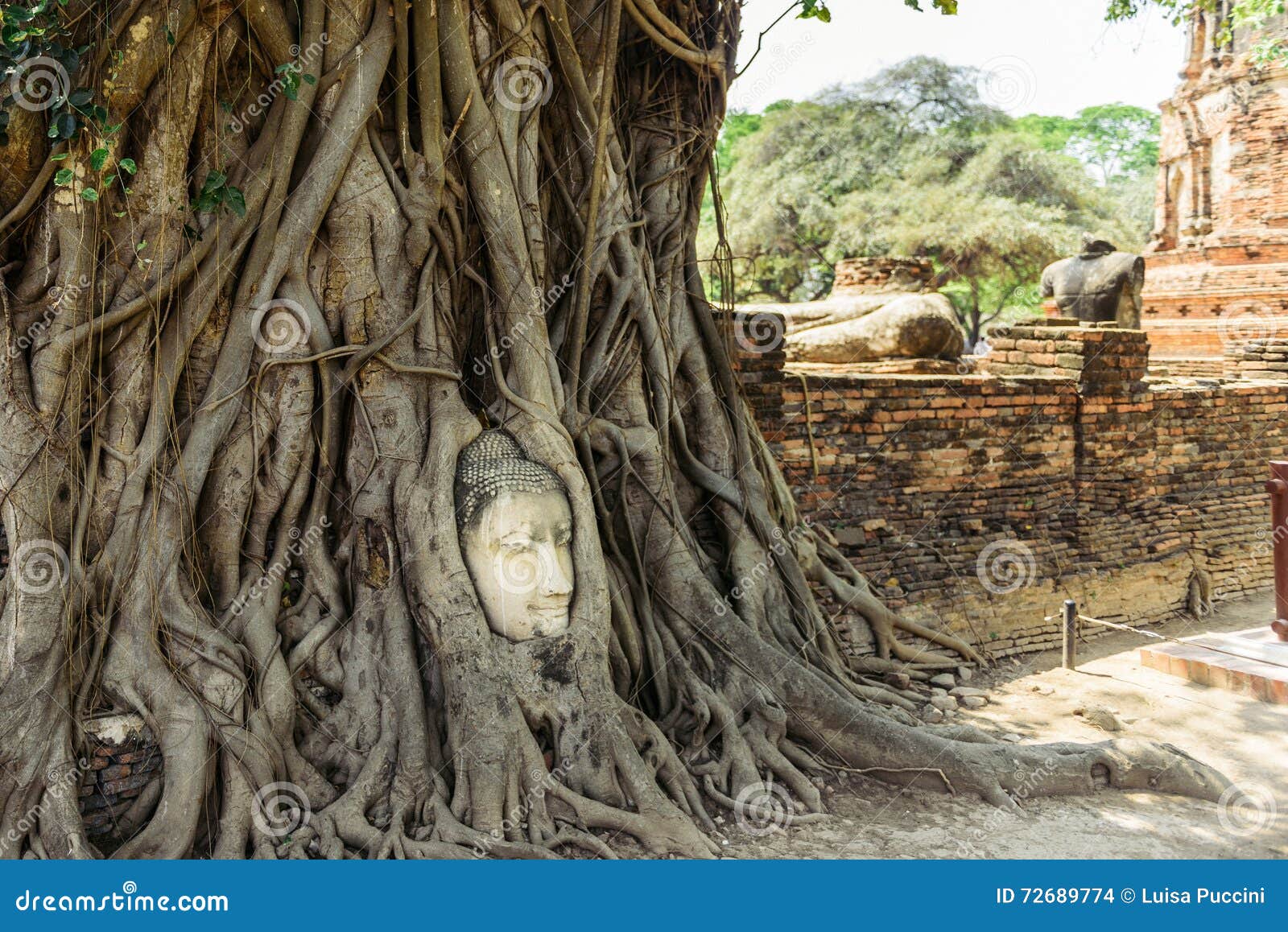 Head of Buddha in Ayutthaya Stock Photo - Image of holy, horizontal ...