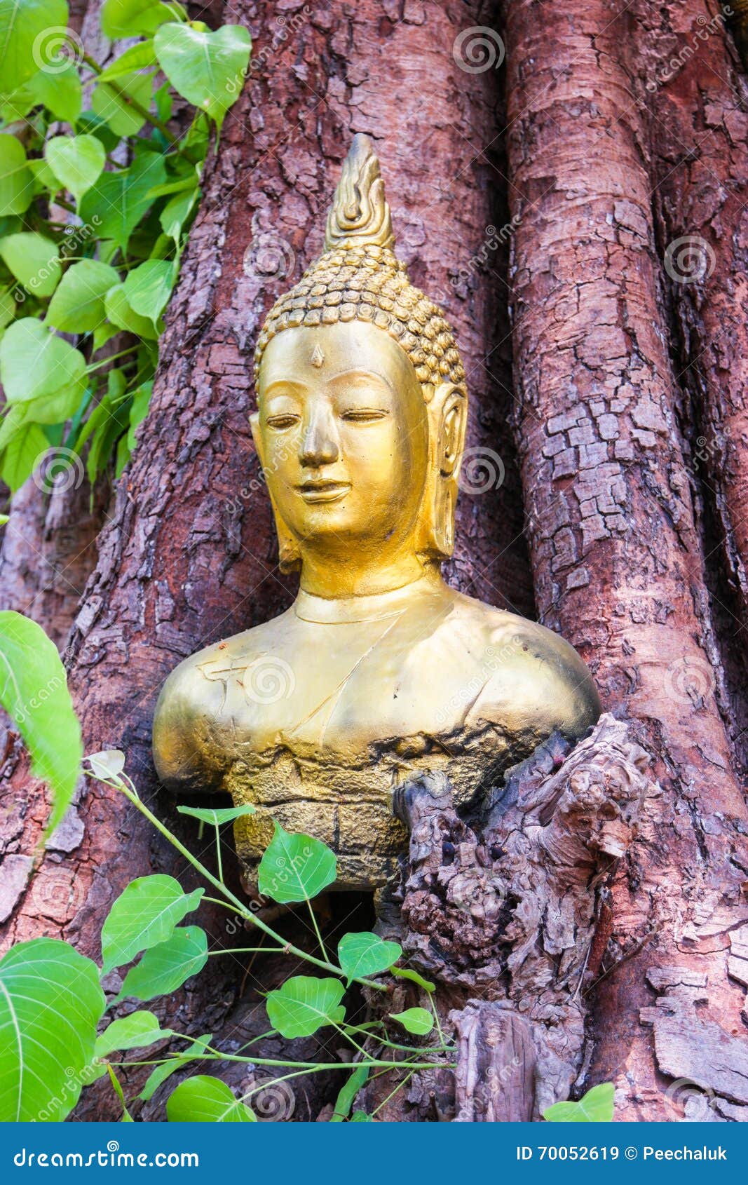 Buddha And The Bodhi Tree Stock Photography | CartoonDealer.com #76948184