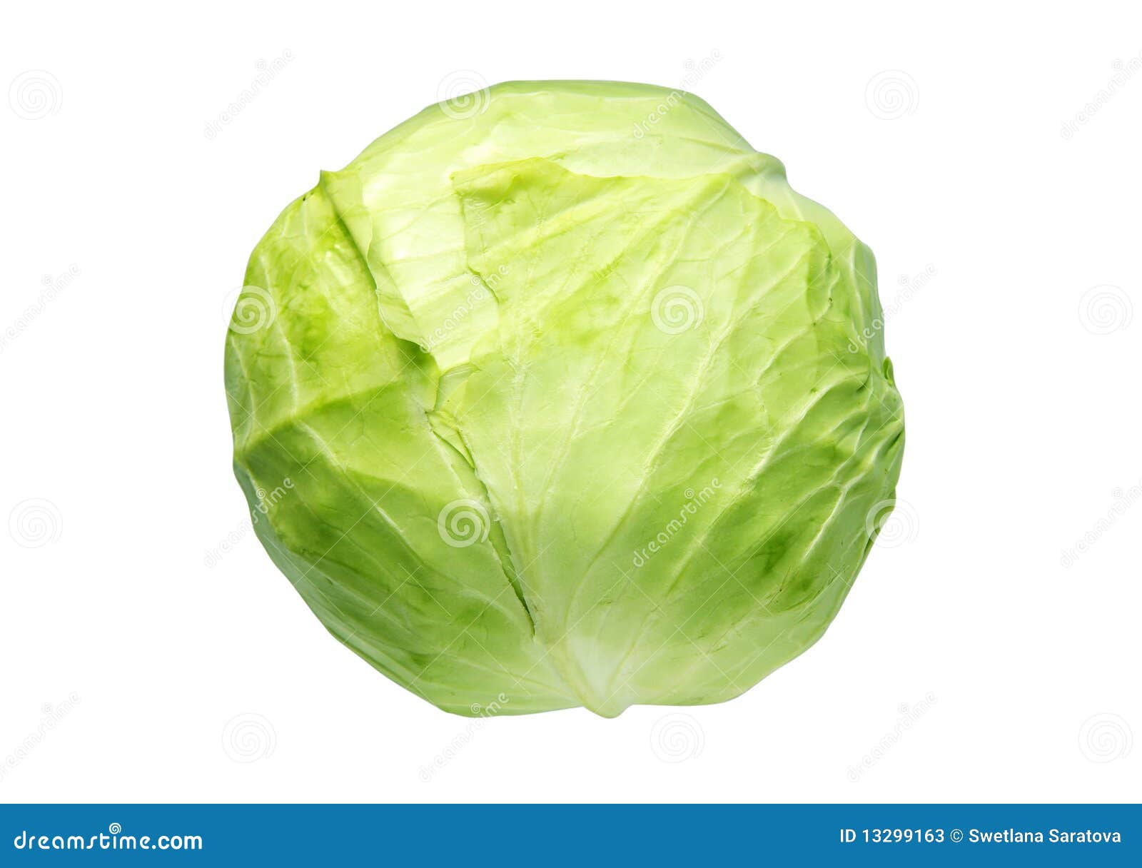 Head of cabbage stock image. Image of eating, leafs, cabbage - 13299163