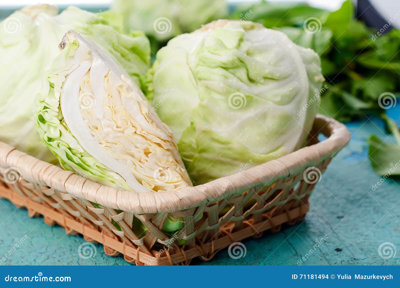 Head of cabbage stock photo. Image of farm, brassica - 71181494