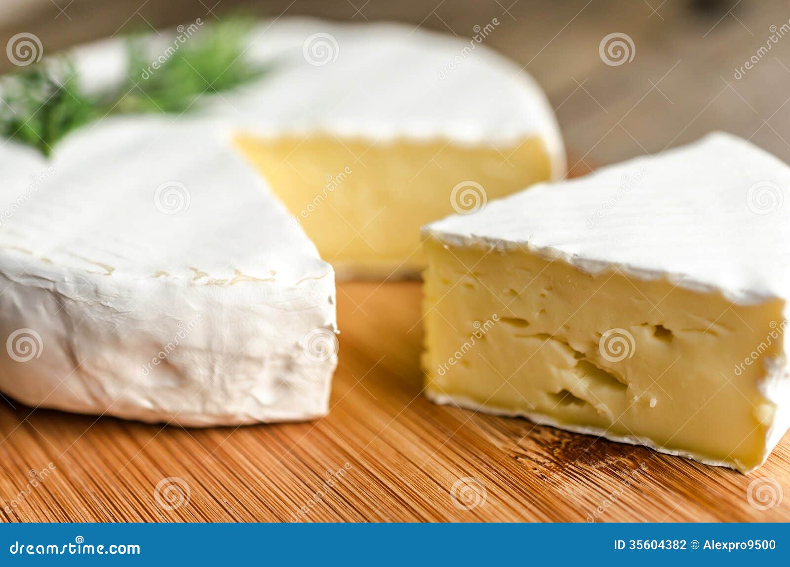 Head of camembert stock photo. Image of organic, fennel - 35604382