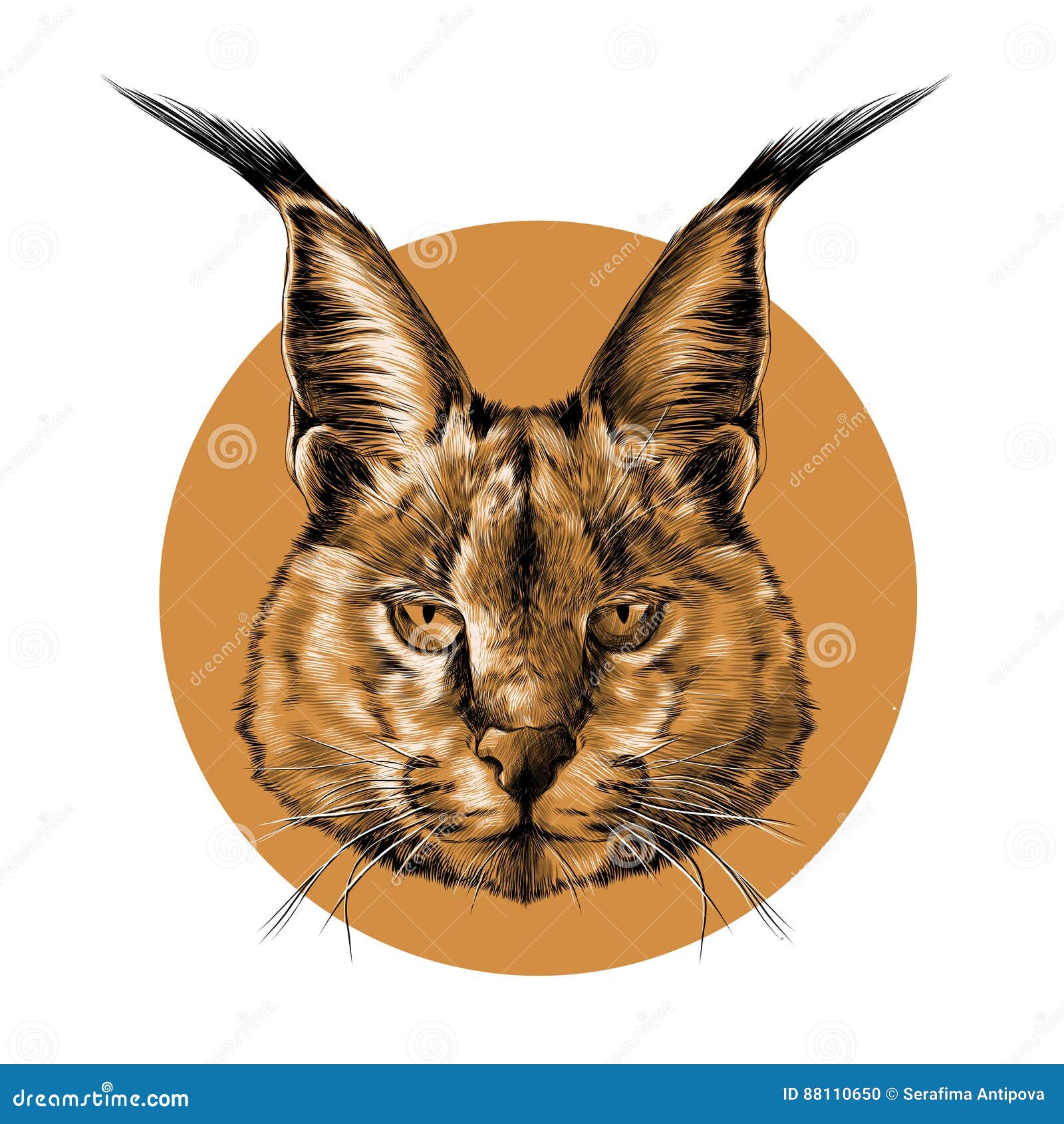 Caracal Head Portrait From Multicolored Paints. Splash Of Watercolor ...