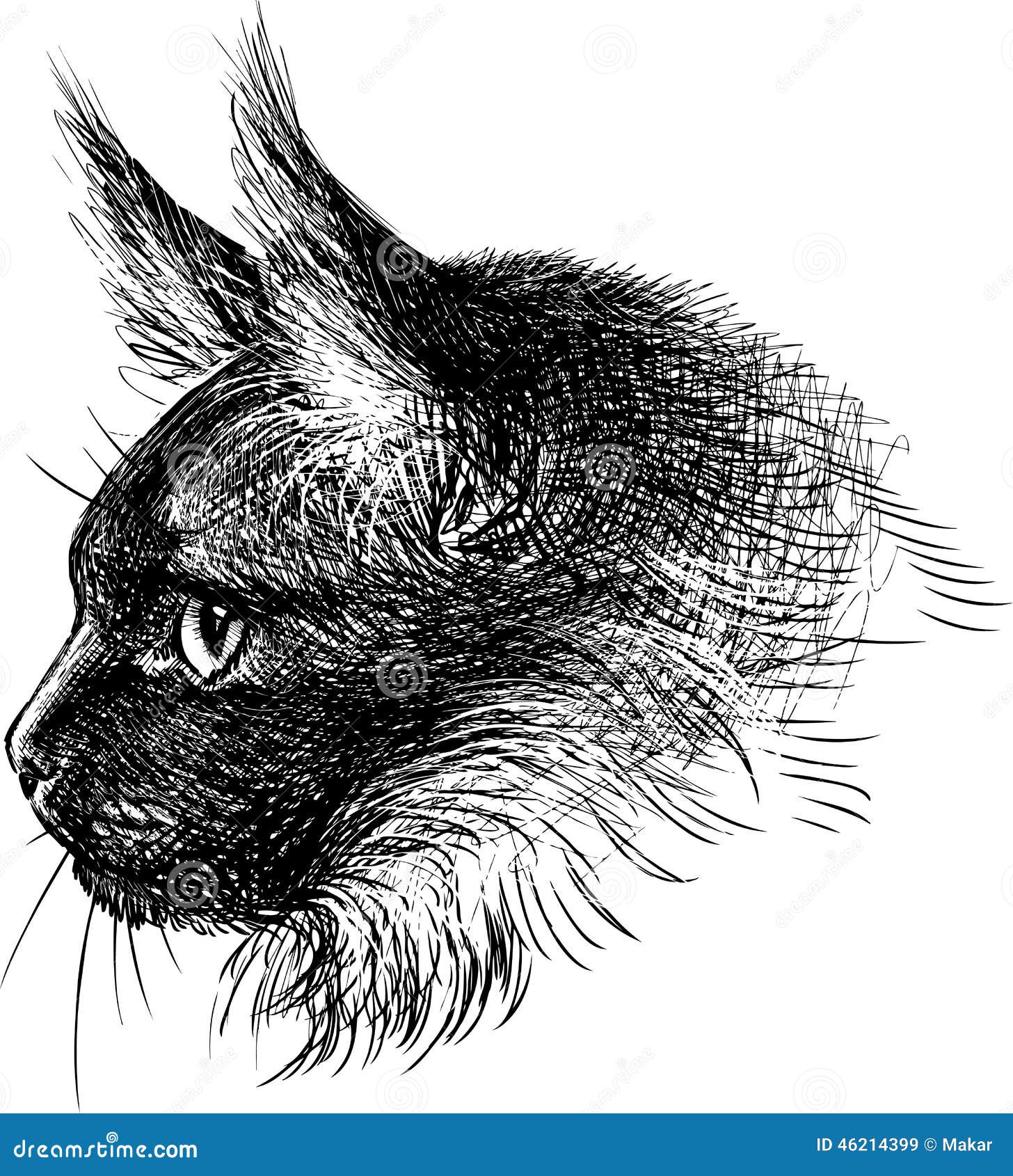 Head of cat stock vector. Illustration of head, profile - 46214399