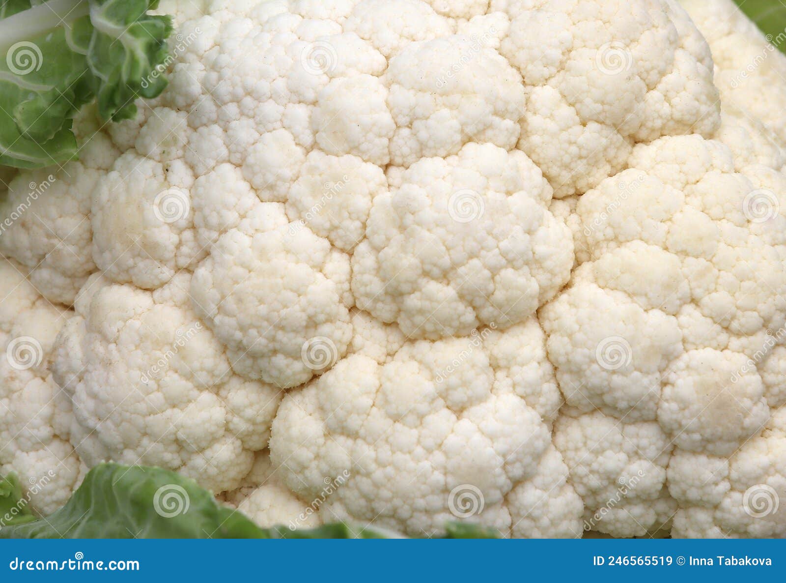 Head of cauliflower stock image. Image of background - 246565519