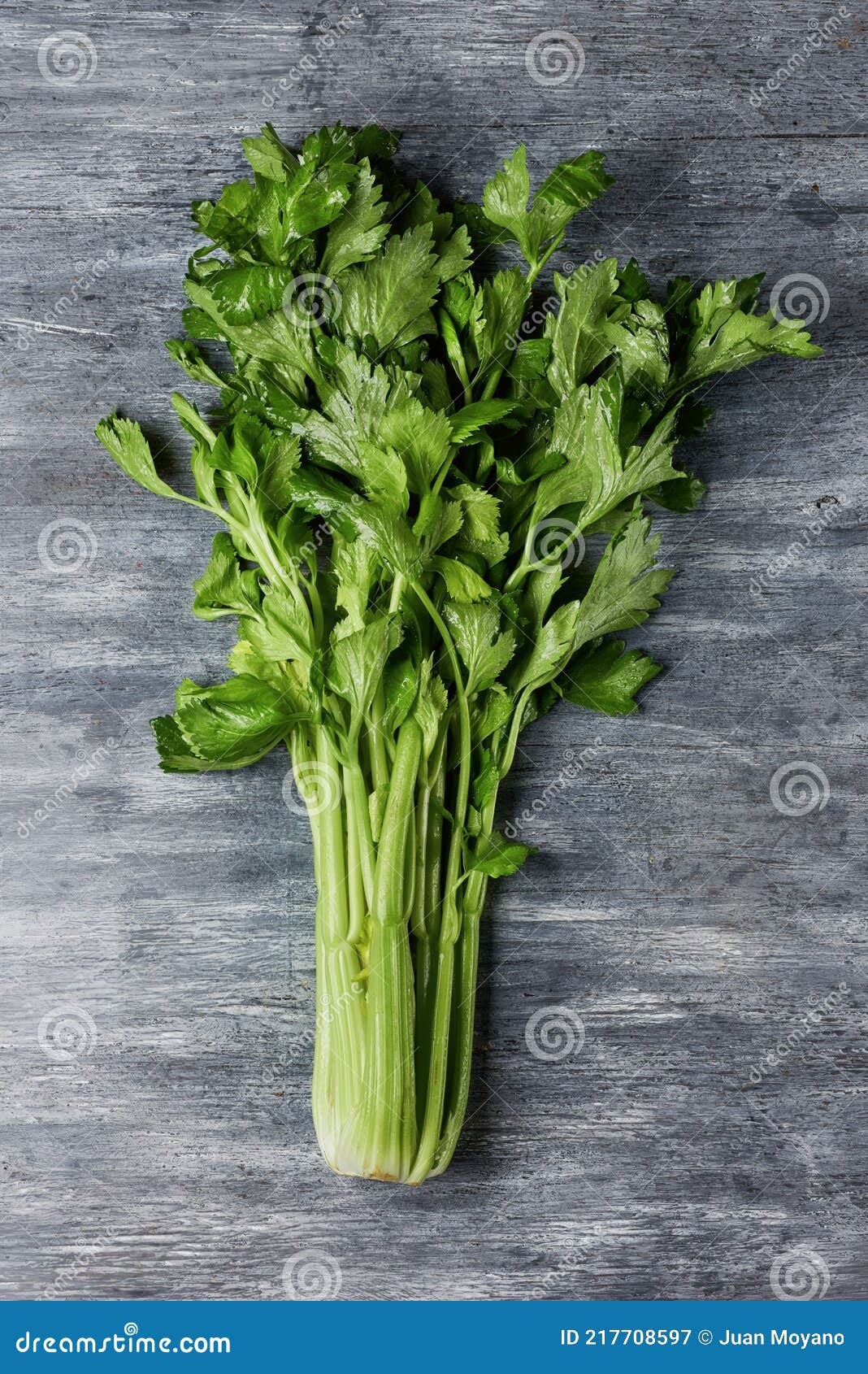 Head of Celery on a Gray Wooden Table Stock Image - Image of eating ...