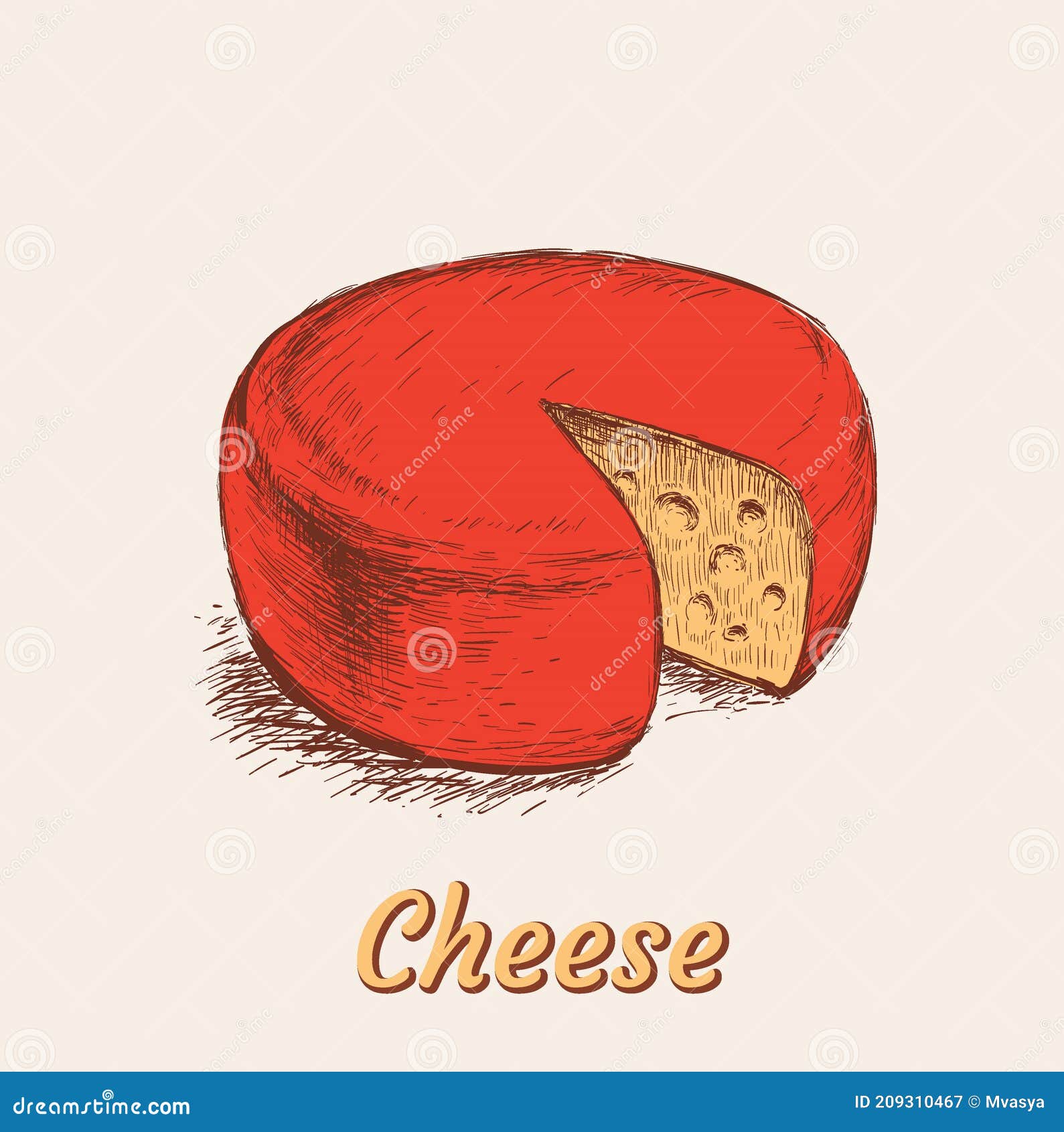 Cheese Hand Drawn Illustration Collection. Food Design Elements. Vector ...