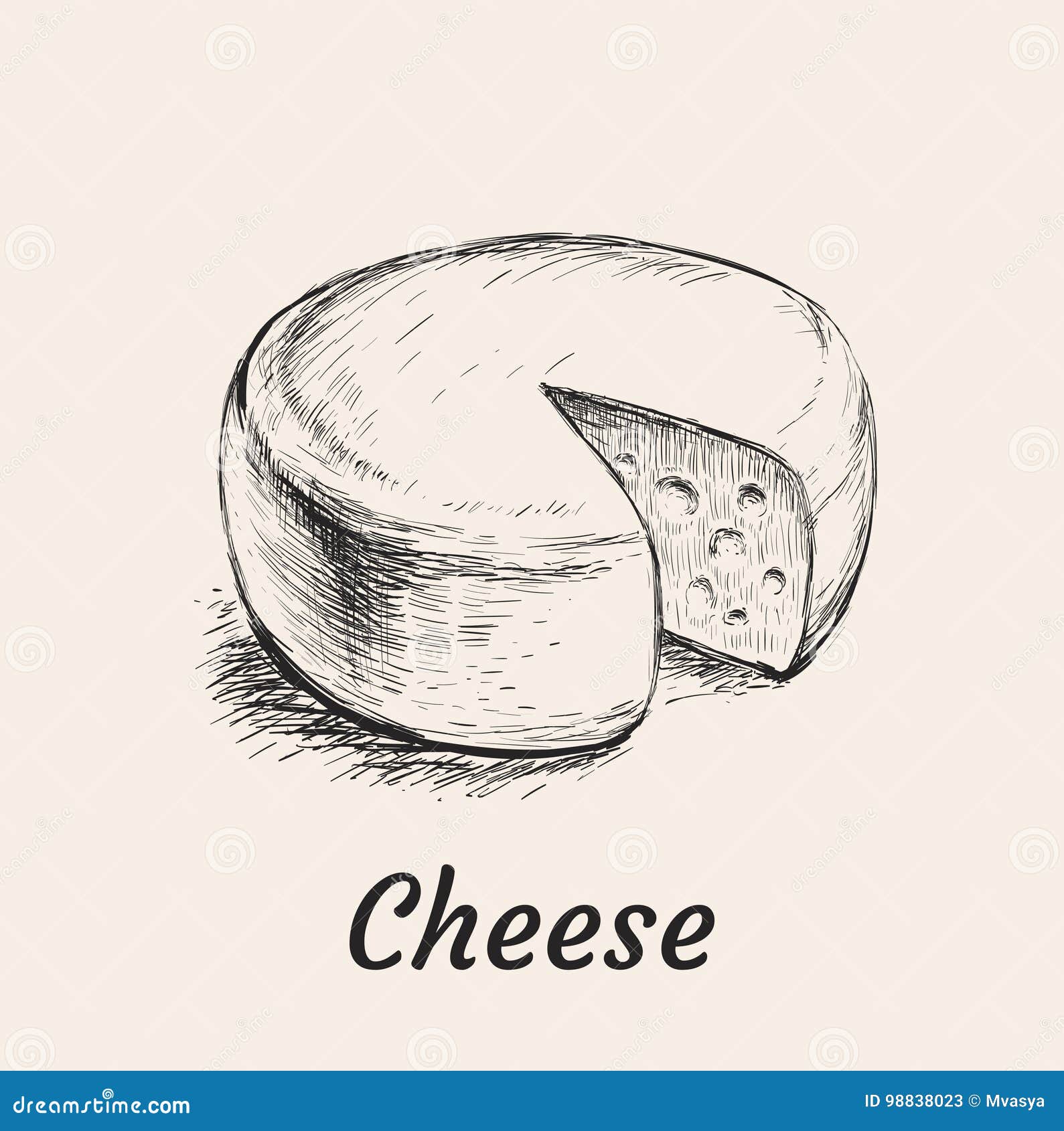 Head of Cheese Hand Drawn Vector Illustration Stock Vector ...