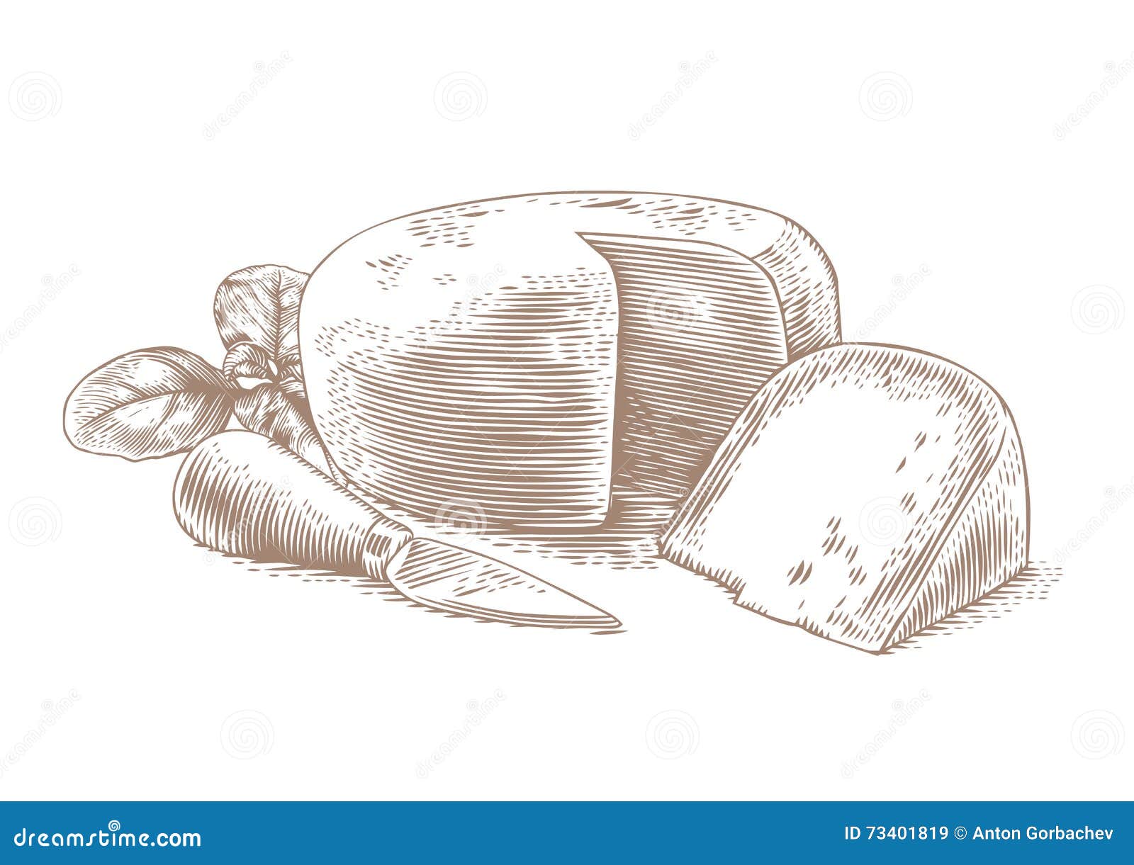 Head of Cheese with Knife and Fresh Basil Stock Vector - Illustration ...
