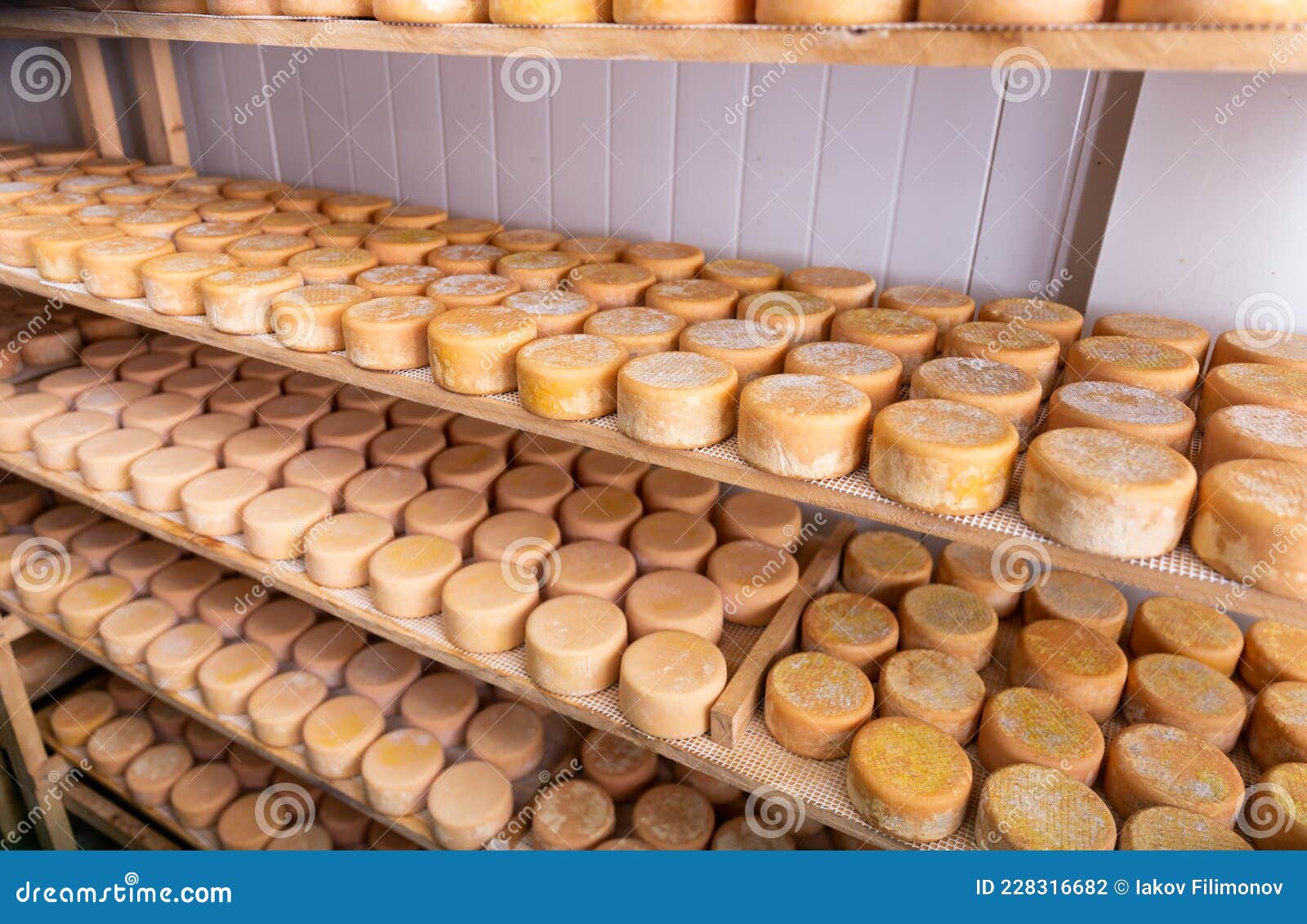 Head Cheese on Shelf in Cheese Dairy Stock Photo - Image of store ...