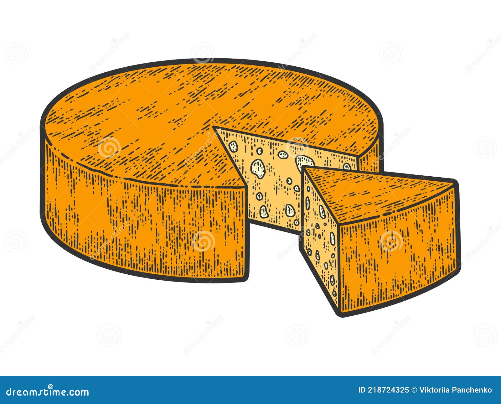 Head of Cheese Sliced. Sketch Scratch Board Imitation Color Stock ...