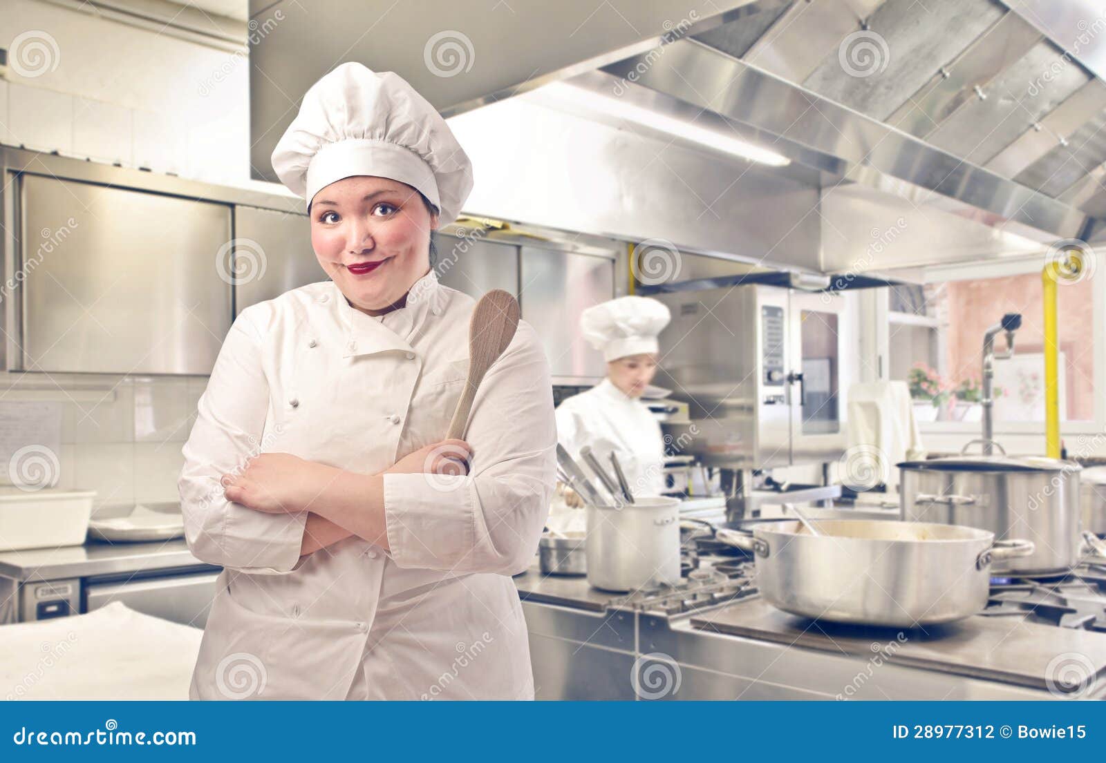 Head chef stock photo. Image of young, worker, professional - 28977312