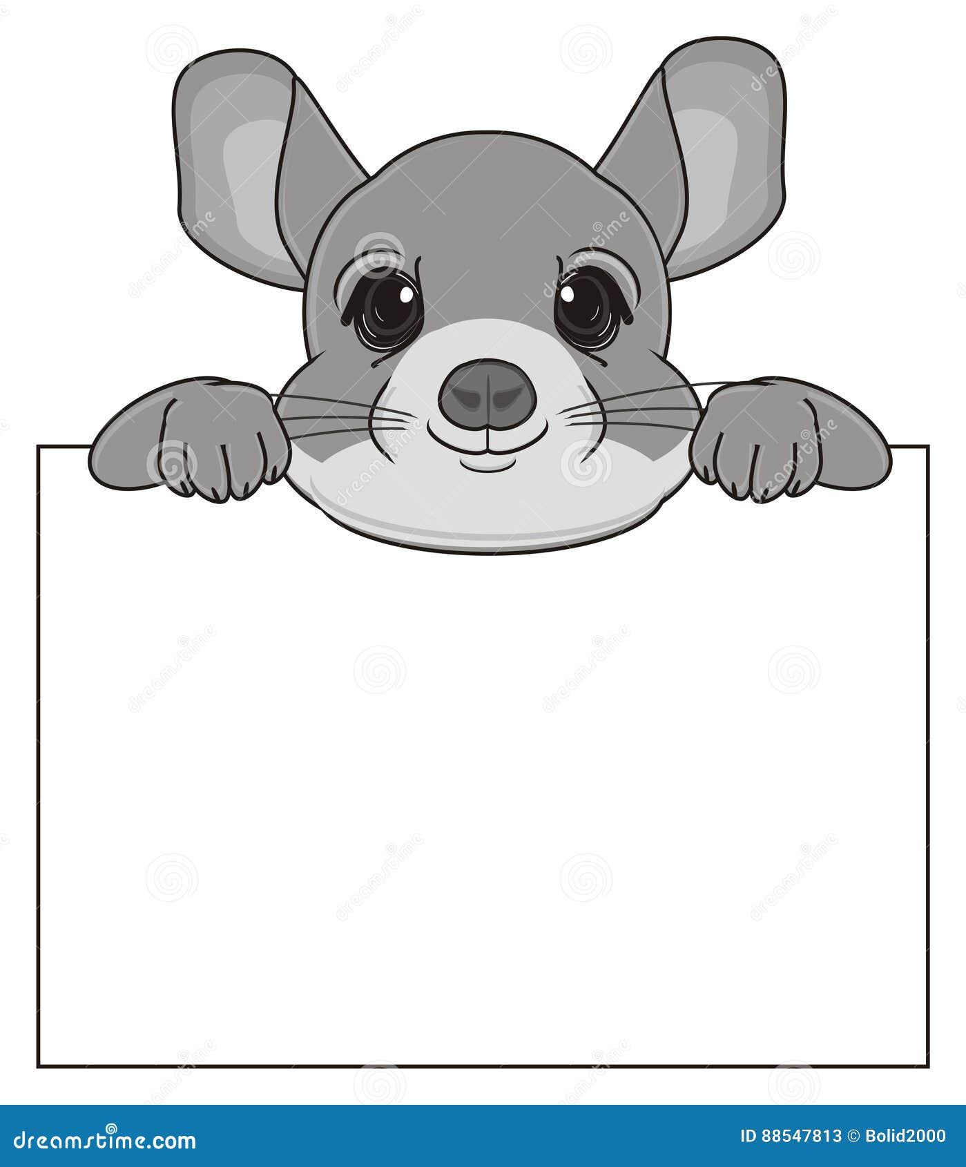 Head of Chinchilla and Clean Paper Stock Illustration - Illustration of ...