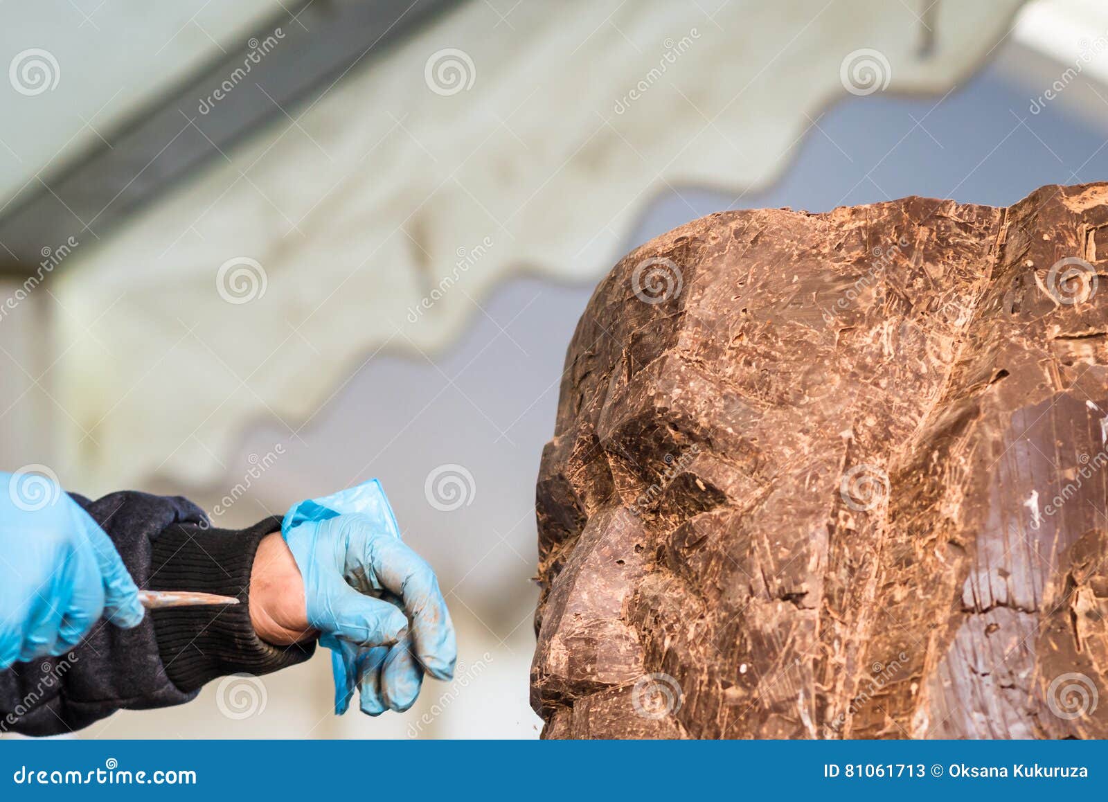 Head of chocolate stock image. Image of beauty, dessert - 81061713