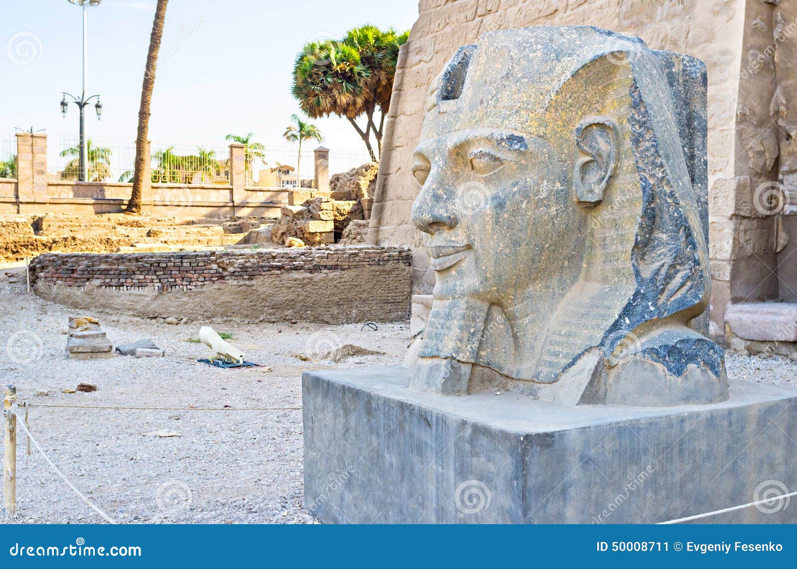 The head of colossus stock image. Image of house, nile - 50008711