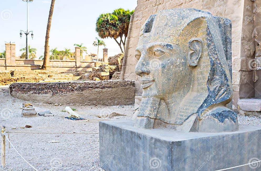 The head of colossus stock image. Image of house, nile - 50008711