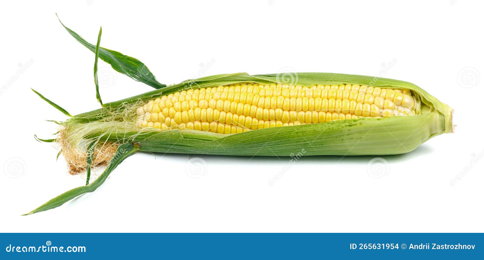 Head of Corn with Leaves on a White Background, Organic Vegetable Stock ...