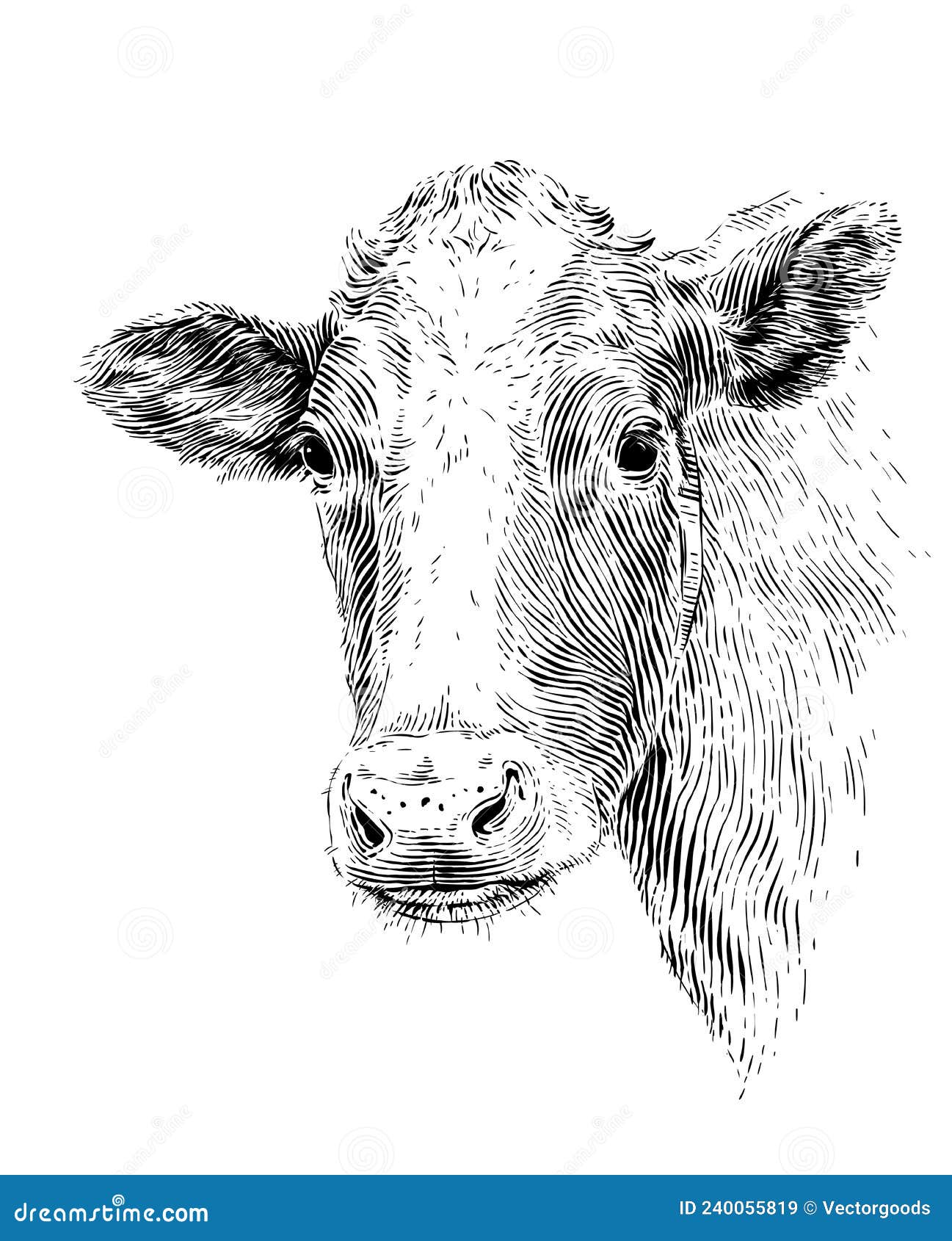 Head Cow Hand Drawing Sketch Engraving Illustration Style Stock Vector ...