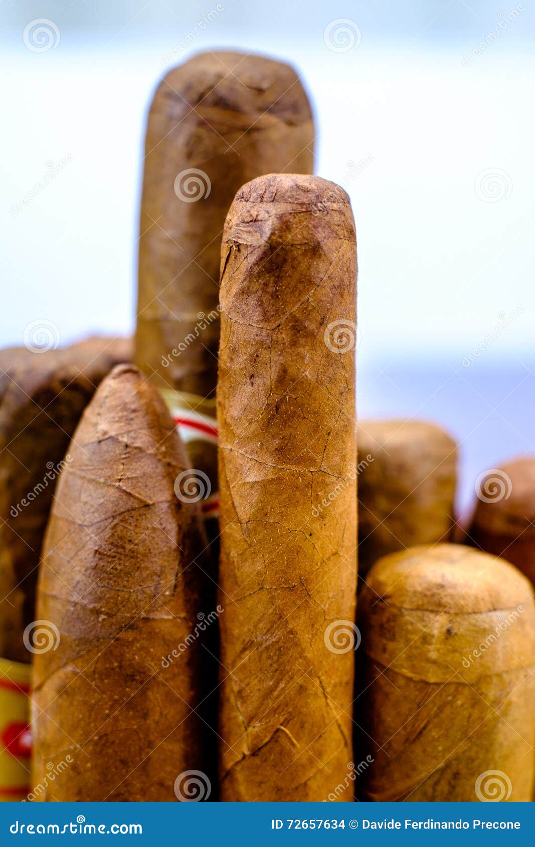 Head of Cuban cigars stock photo. Image of culture, relax - 72657634