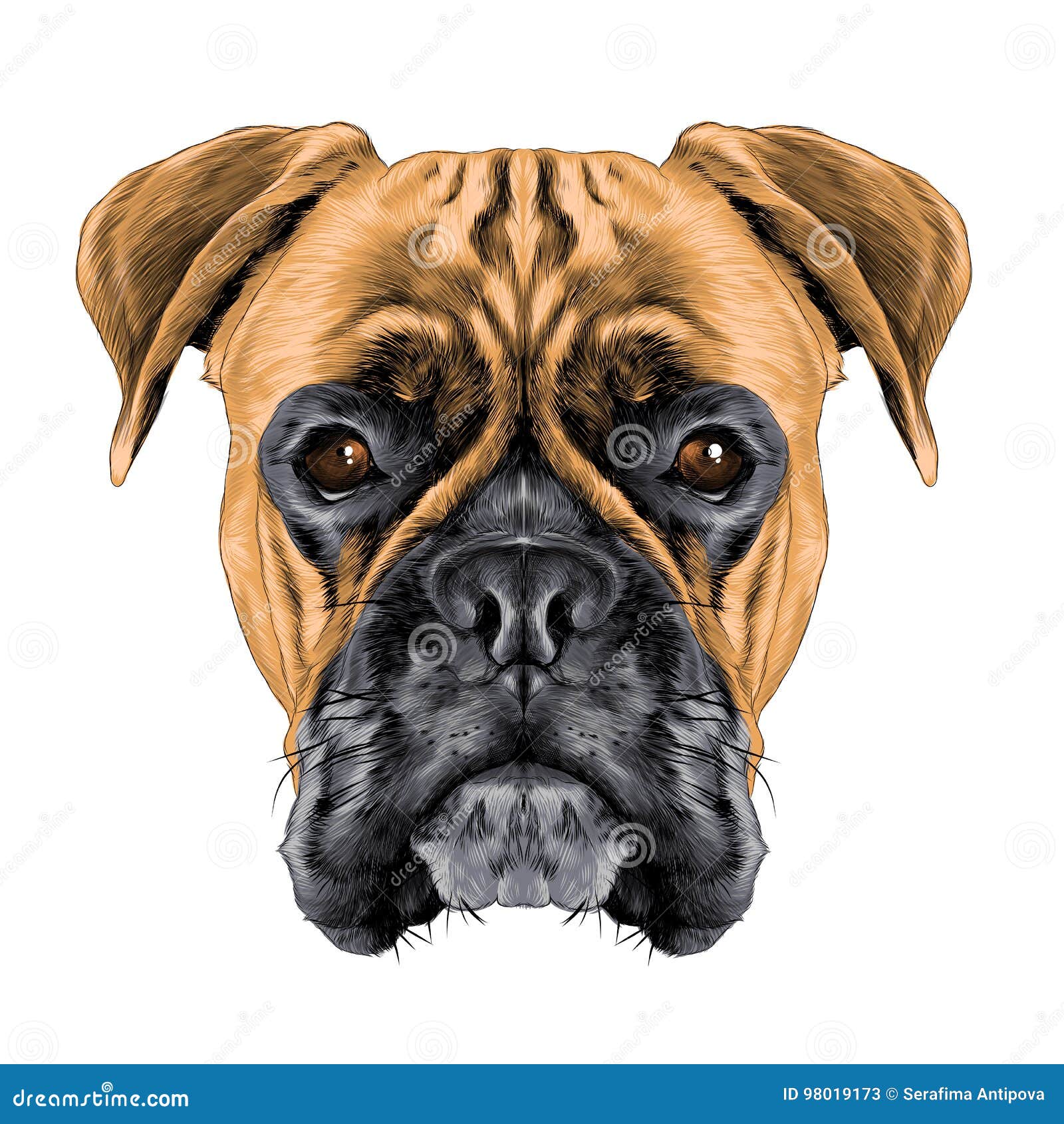 The Head of the Dog Breed Boxer Dog Collar Stock Vector - Illustration ...